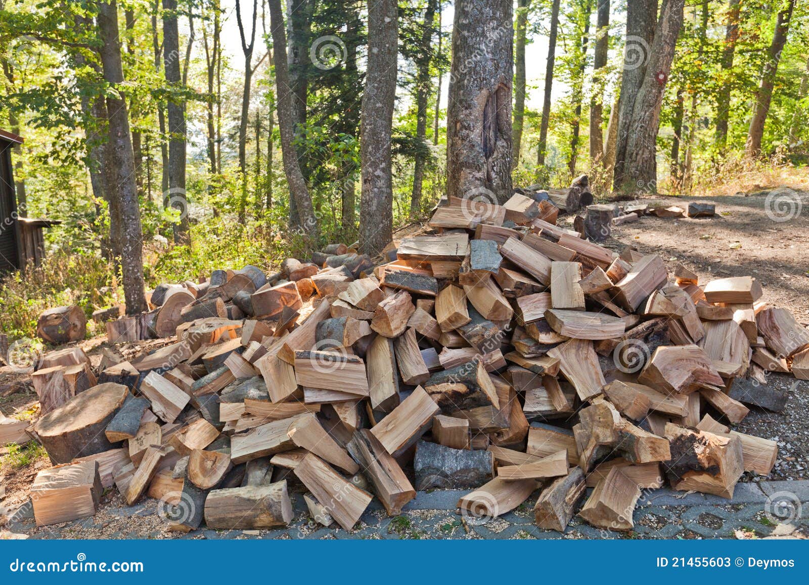 Chopped wood stock image. Image of construction, chop - 21455603
