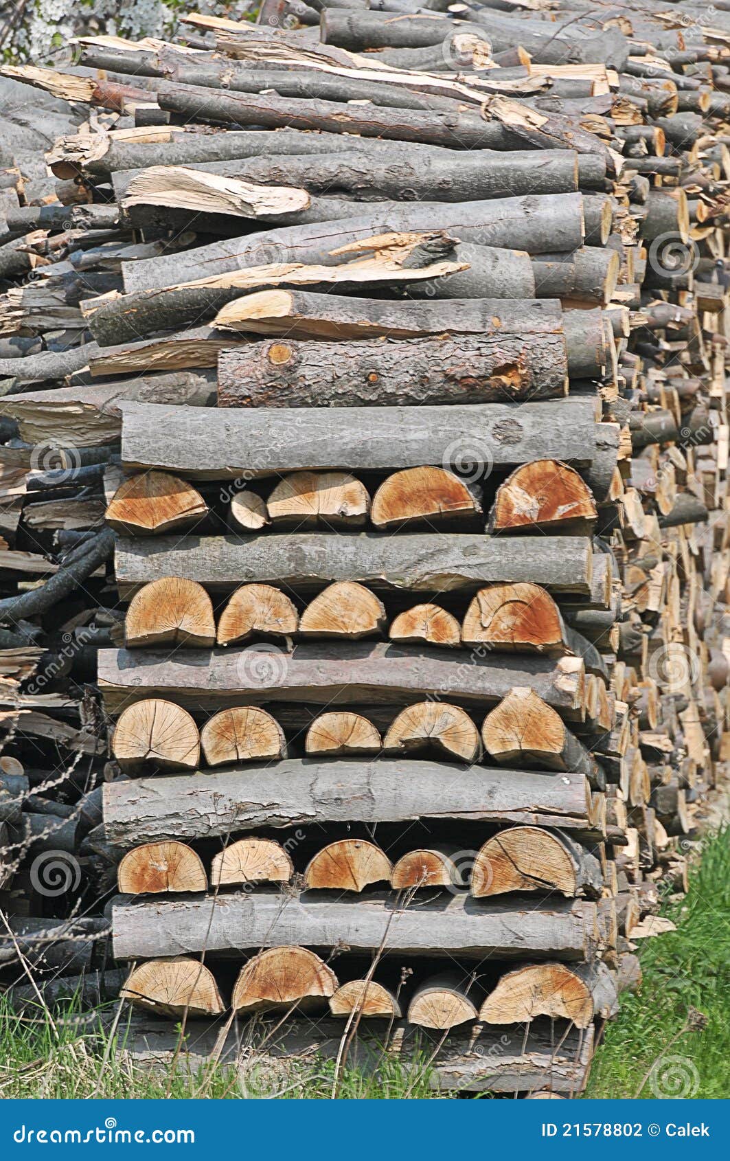 Chopped wood stock photo. Image of lumber, chop, nature - 21578802