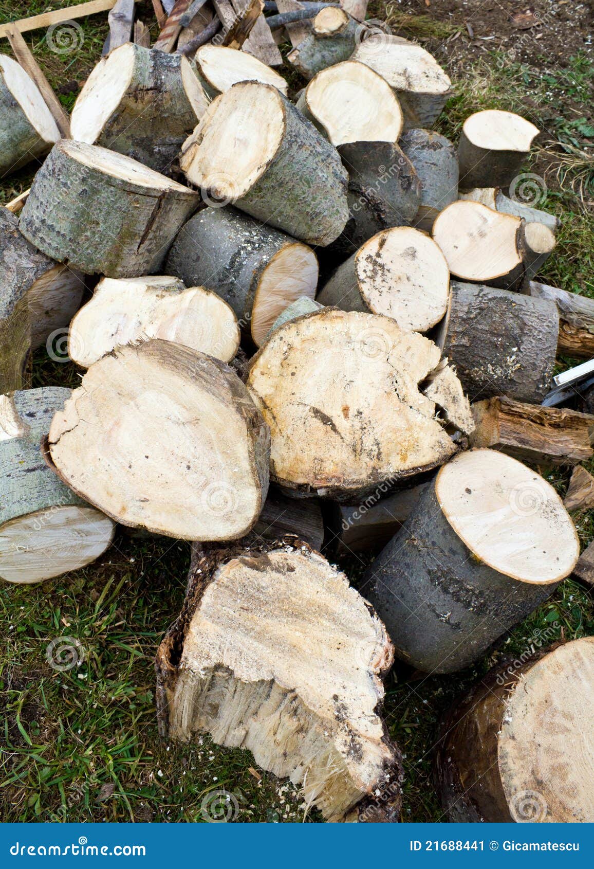 Chopped wood stock image. Image of stacked, chopped, heap - 21688441