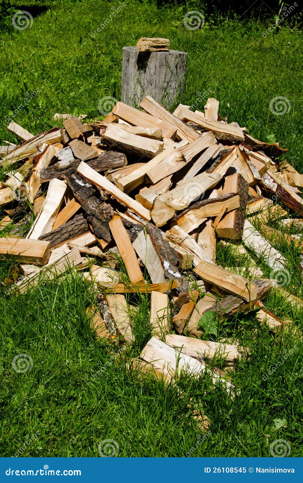 Chopped wood stock image. Image of forest, texture, nature - 26108545
