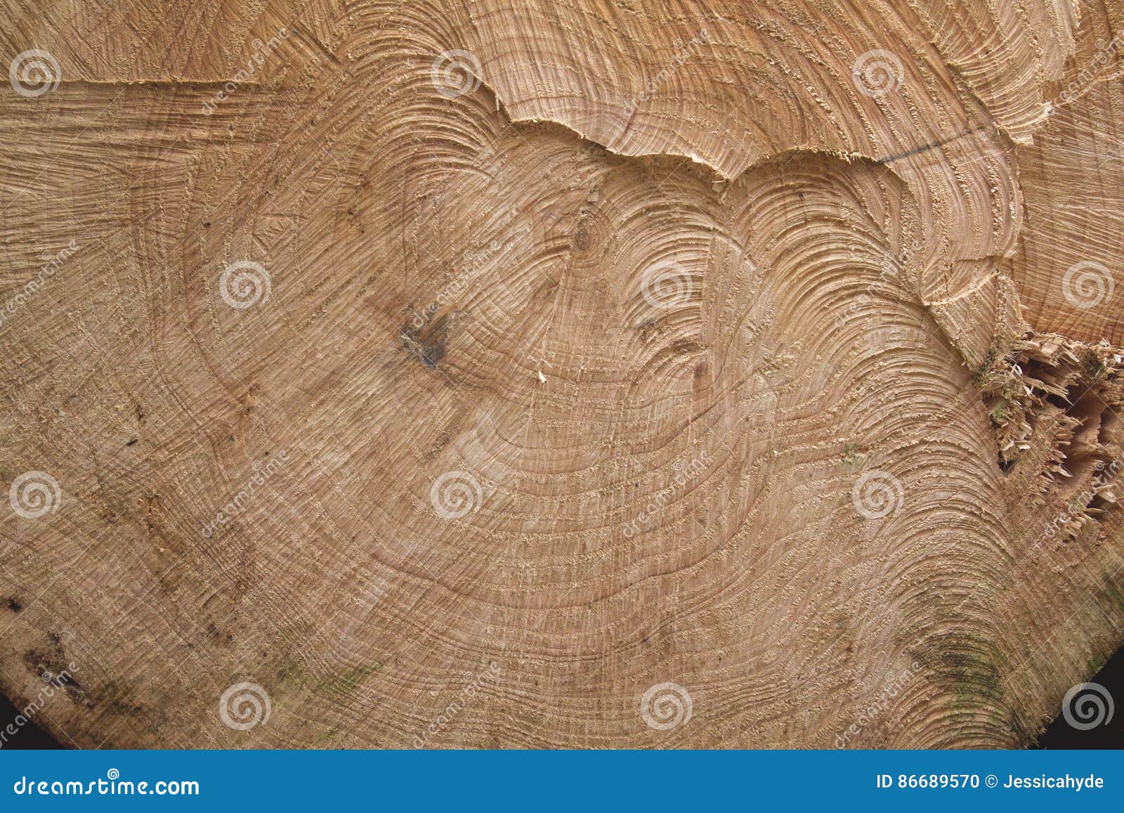 Chopped wood background stock photo. Image of environment - 86689570