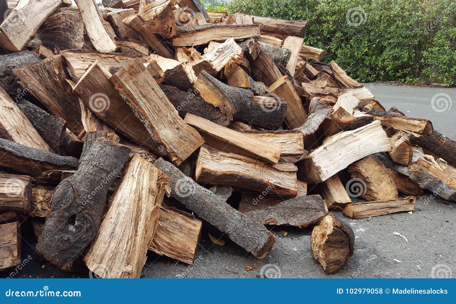 Chopped wood stock photo. Image of fire, firewood, tree - 102979058