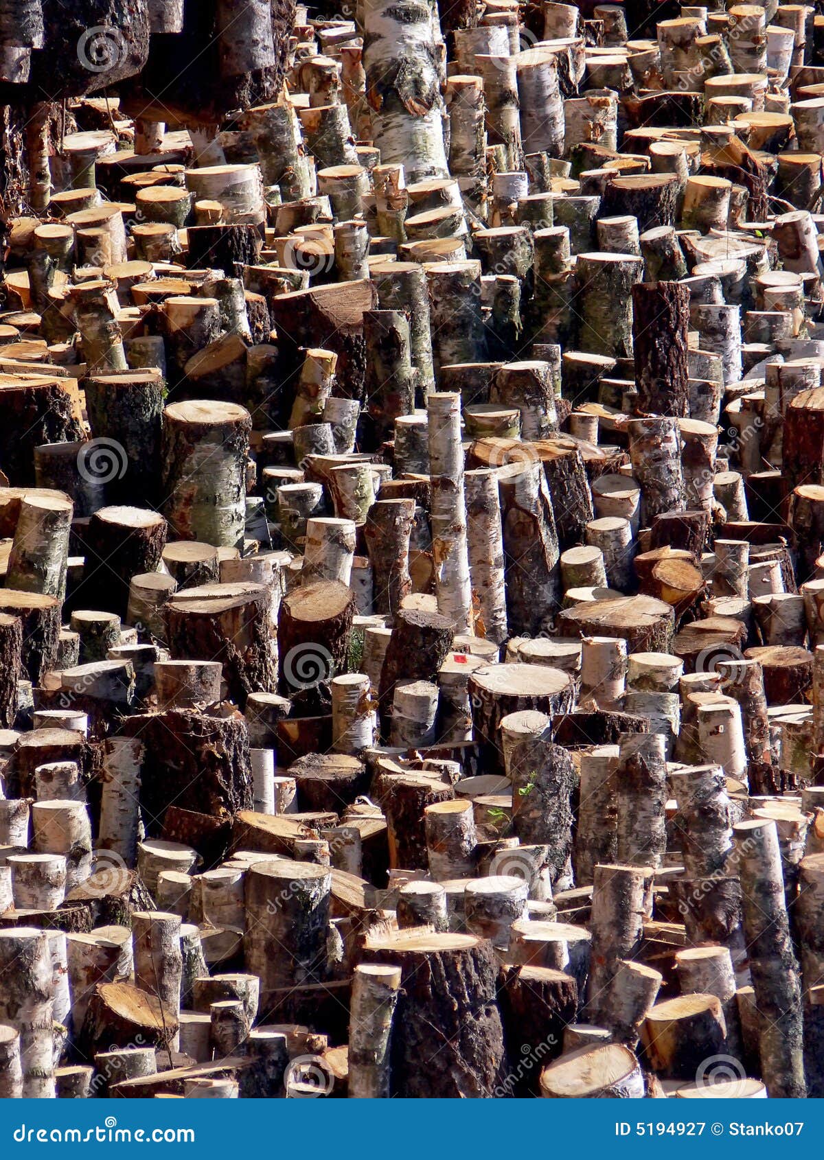 Chopped Wood & Logs stock image. Image of trunks, logs - 5194927