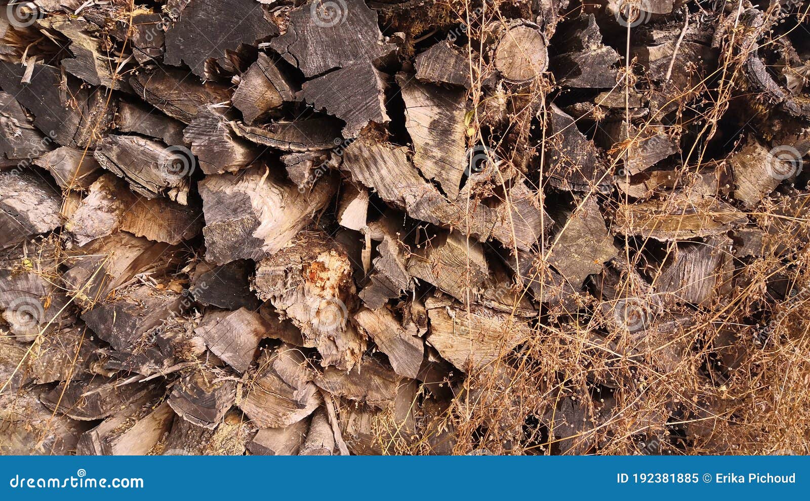 Chopped Wood Storage, Close Up for Background Stock Image - Image of ...