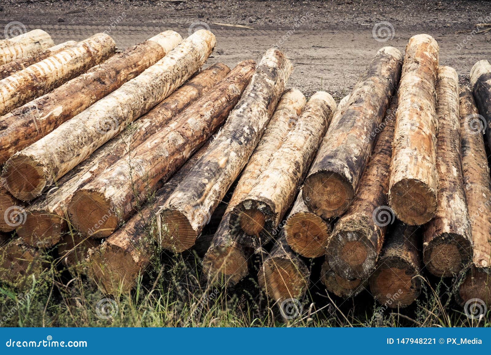 Chopped Wood, Woodpile, Firewood - Stack Stock Image - Image of stacked ...