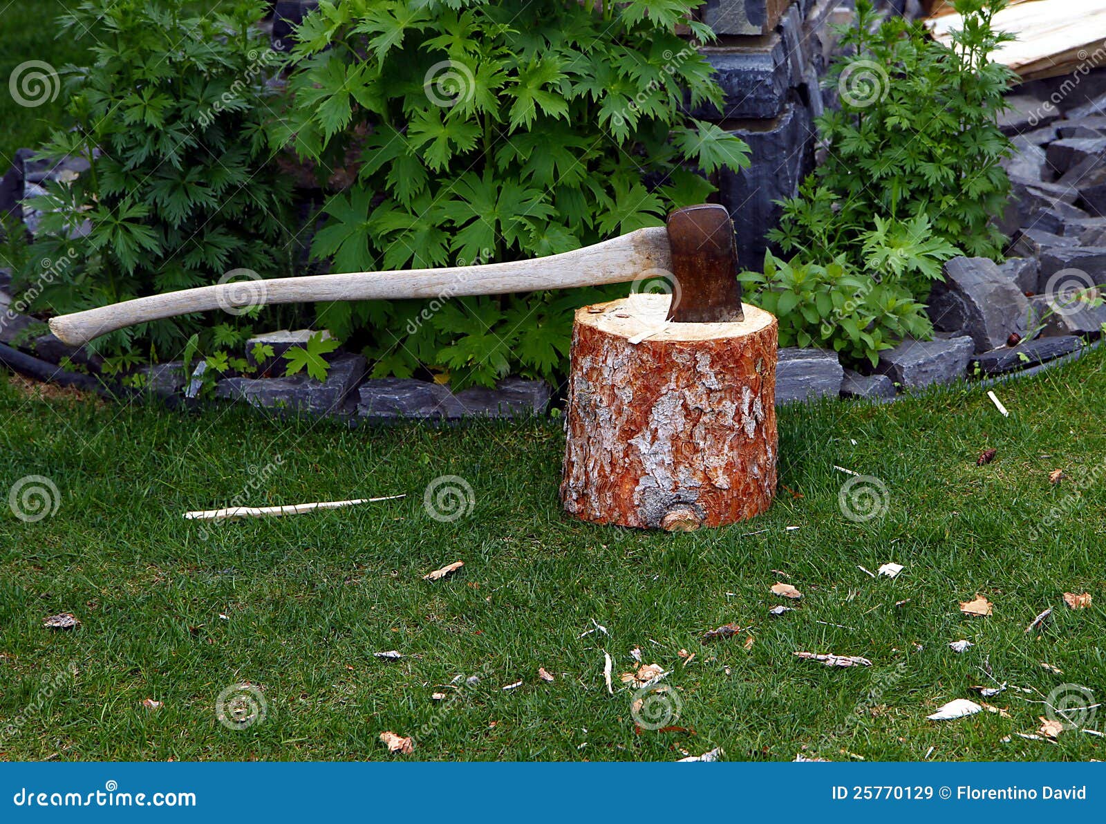 Chopping block stock image. Image of grind, loggers, mountain - 25770129