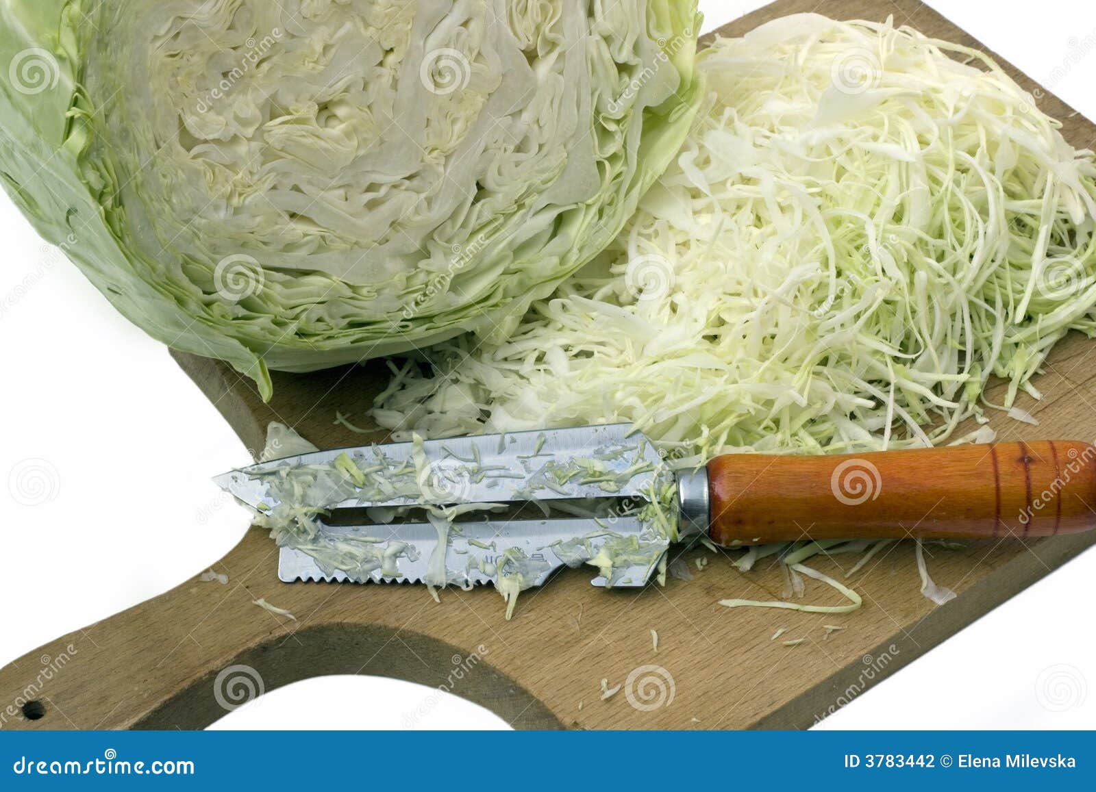Chopping cabbage stock photo. Image of food, lifestyle - 3783442