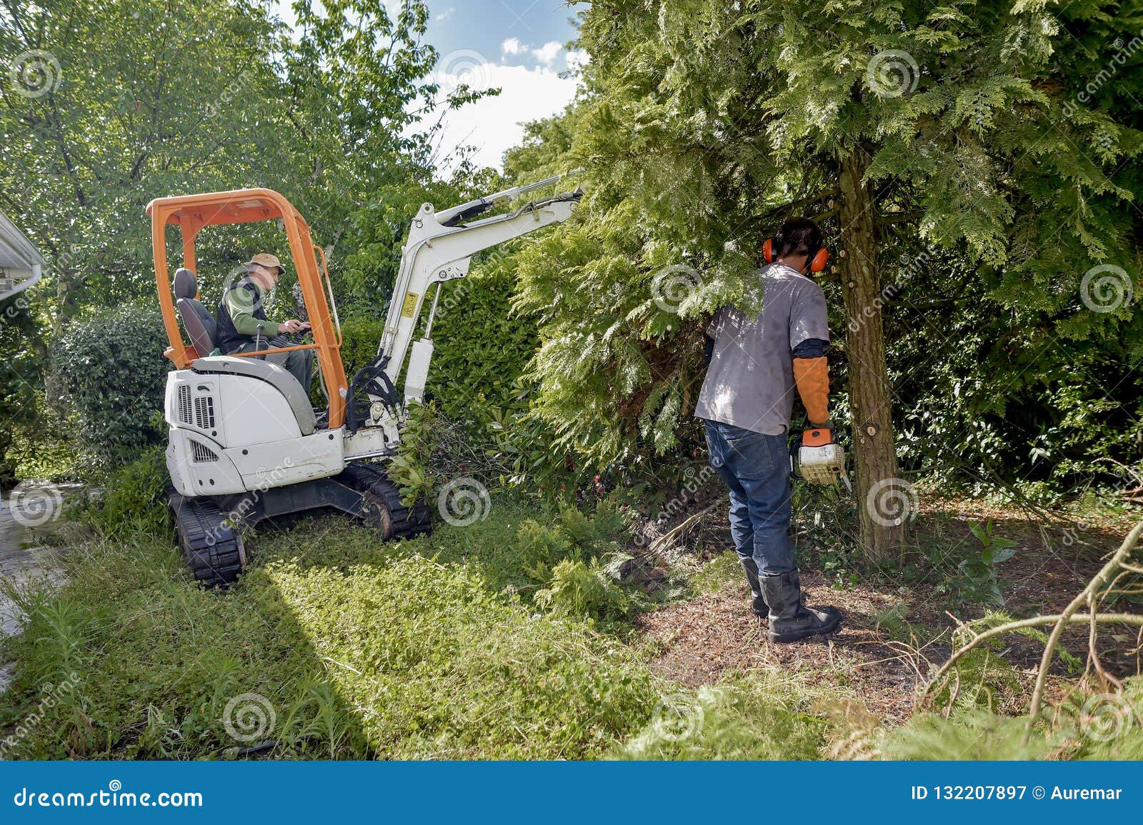 Chopping down a tree stock image. Image of blade, strong - 132207897