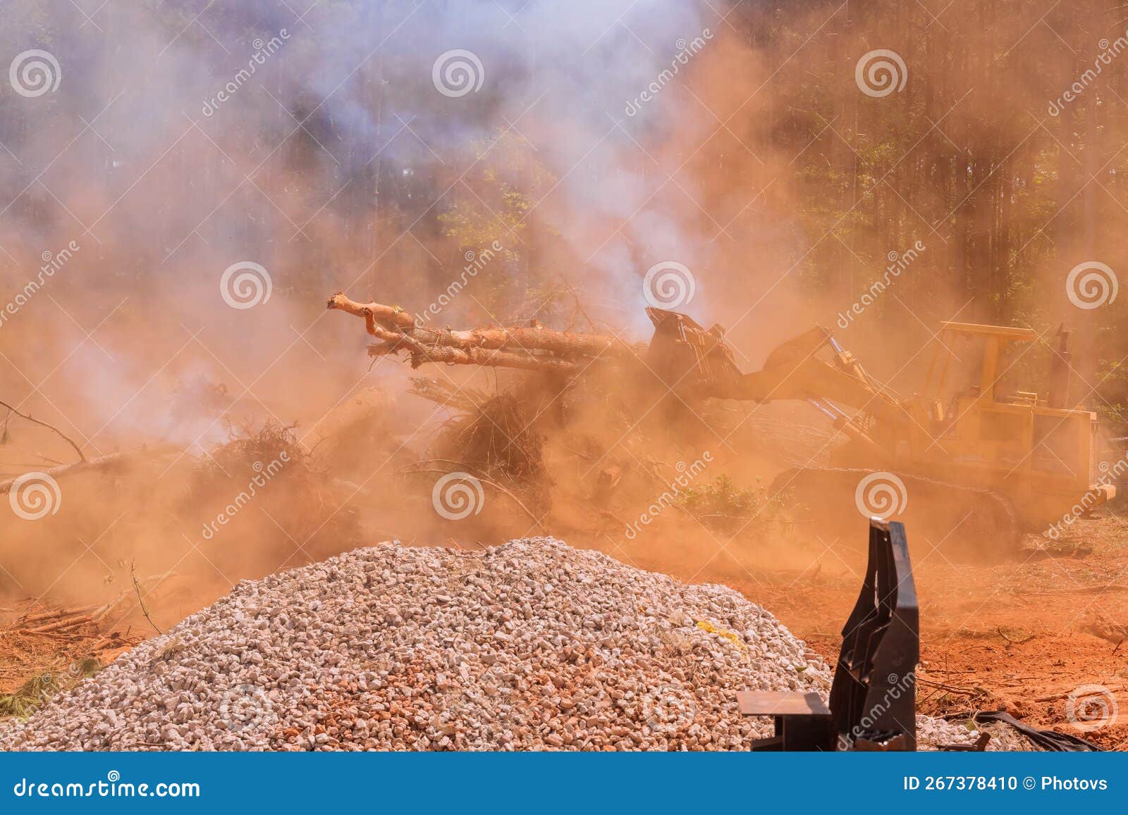 Chopping Down Trees in the Forest for Subdivision of Housing ...