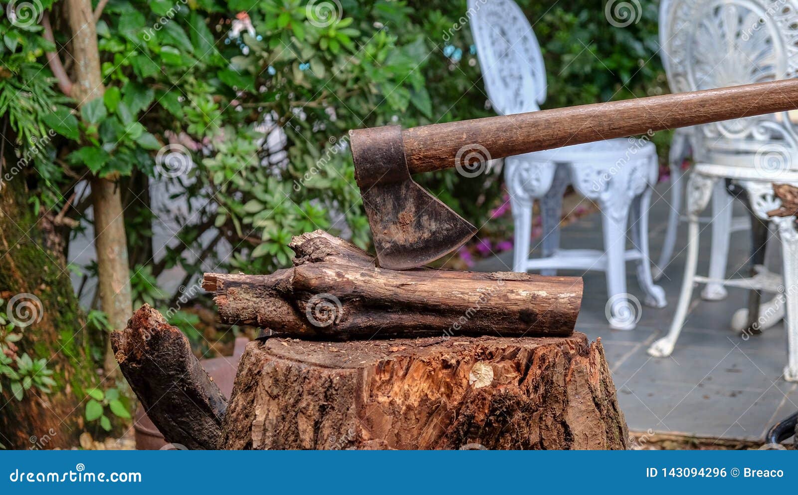 Chopping firewood with axe stock photo. Image of brazilian - 143094296