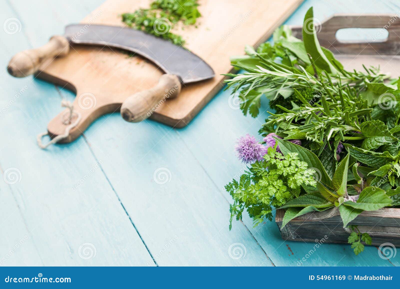 Chopping herbs stock image. Image of sage, table, rosemary - 54961169