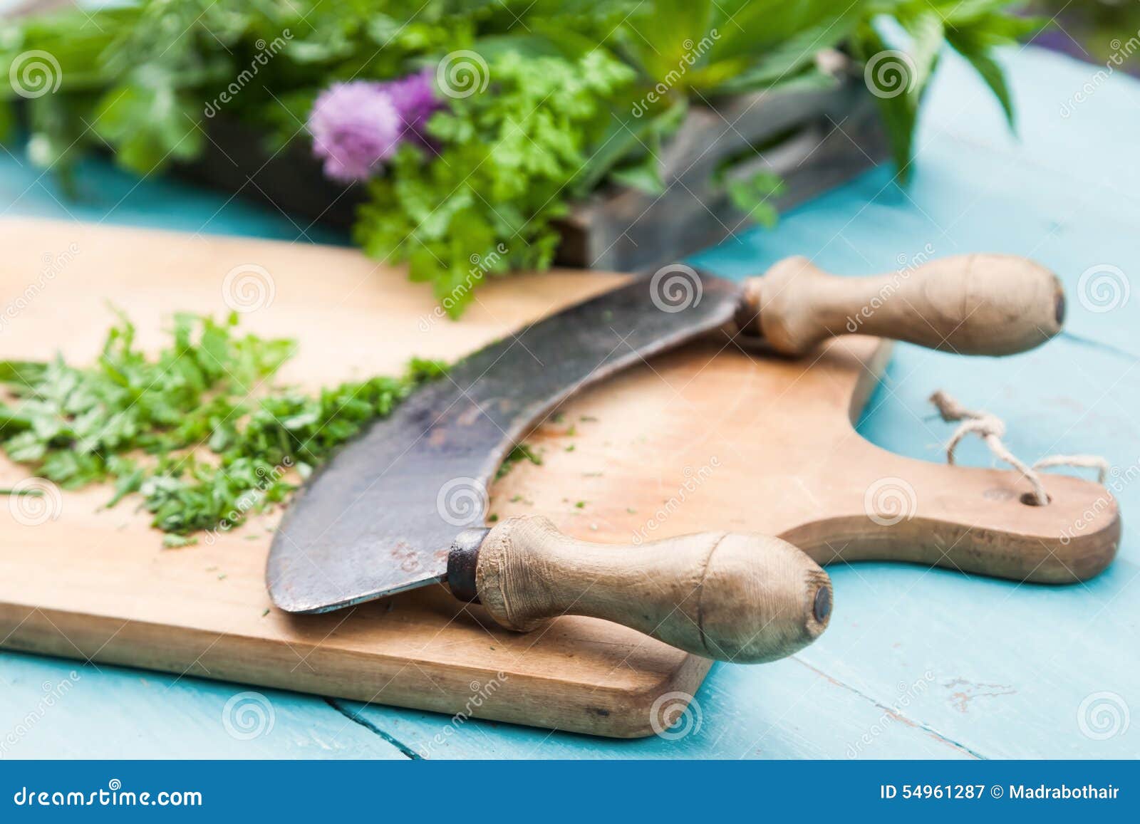 Chopping herbs stock image. Image of green, chives, sage - 54961287