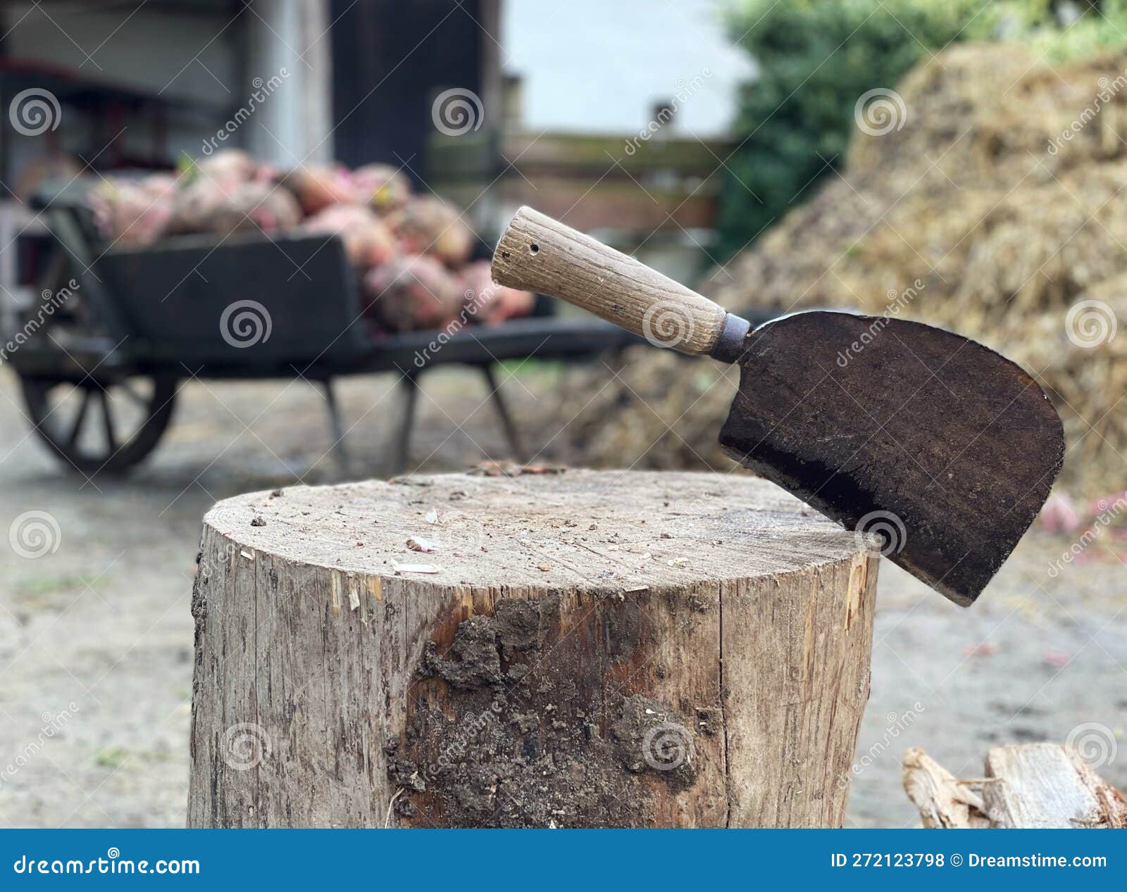 Chopping log stock photo. Image of outdoors, firewood - 272123798