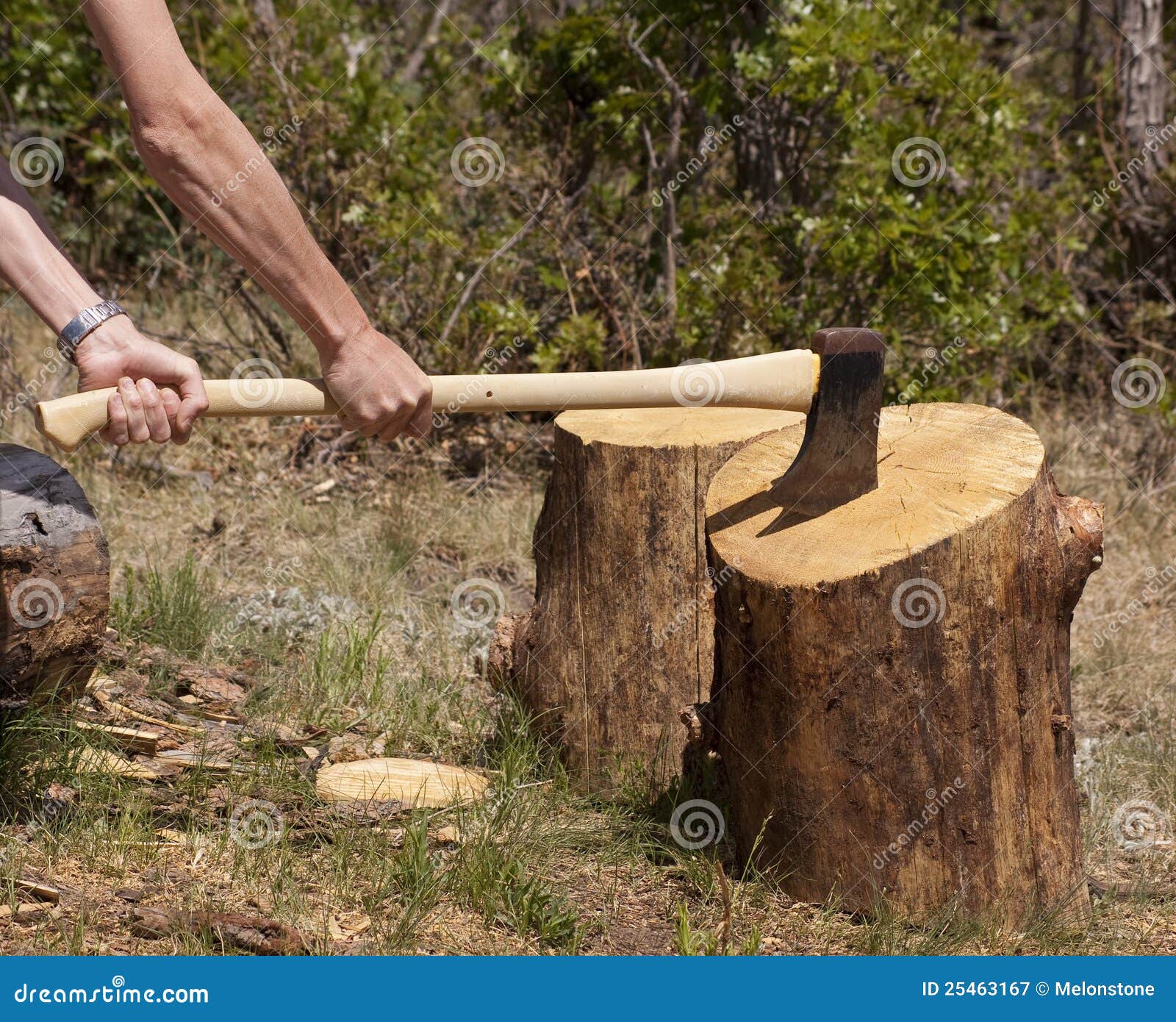 303 Male Splitting Logs Stock Photos - Free & Royalty-Free Stock Photos ...