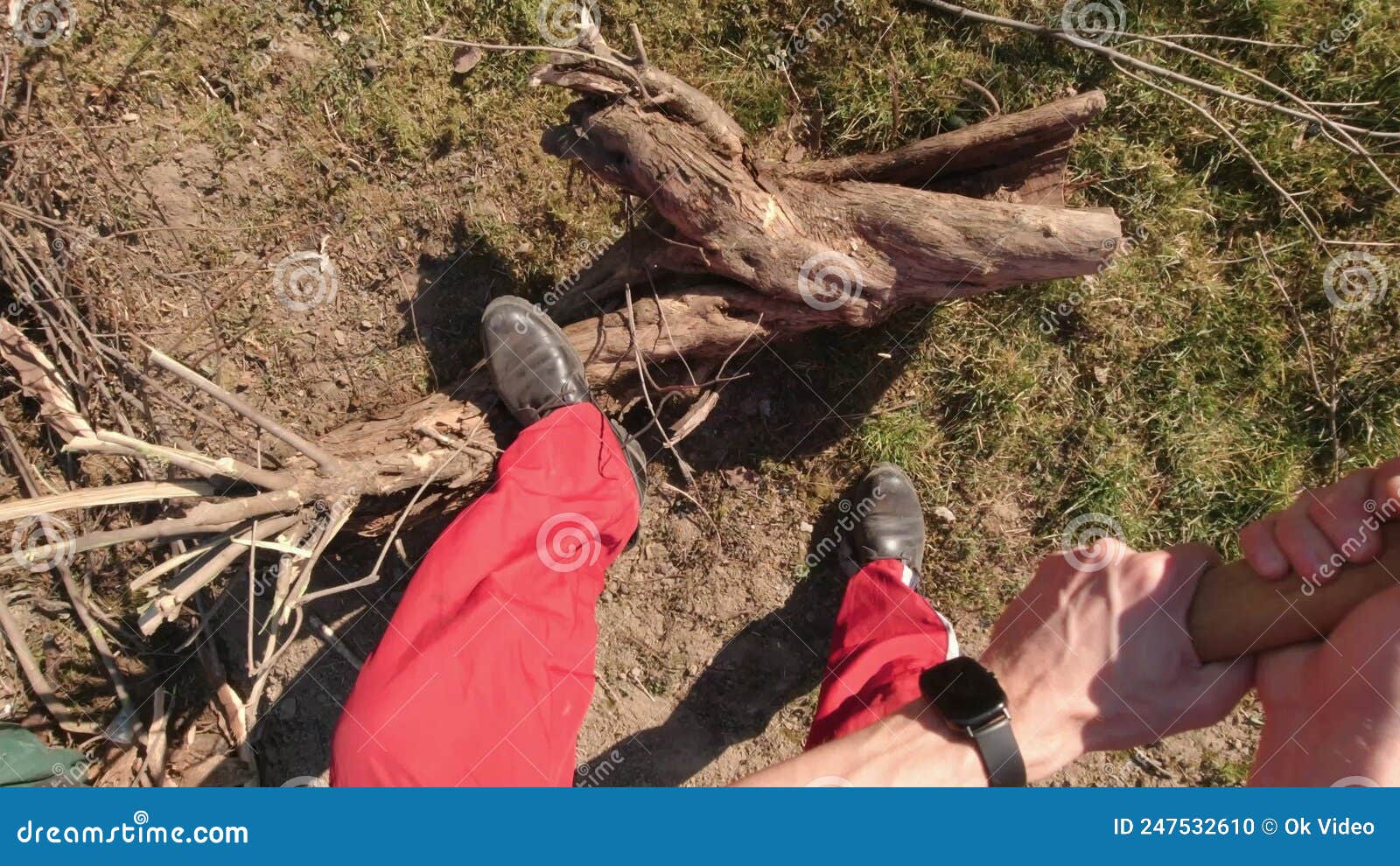 Chopping an Old Stump stock footage. Video of white - 247532610