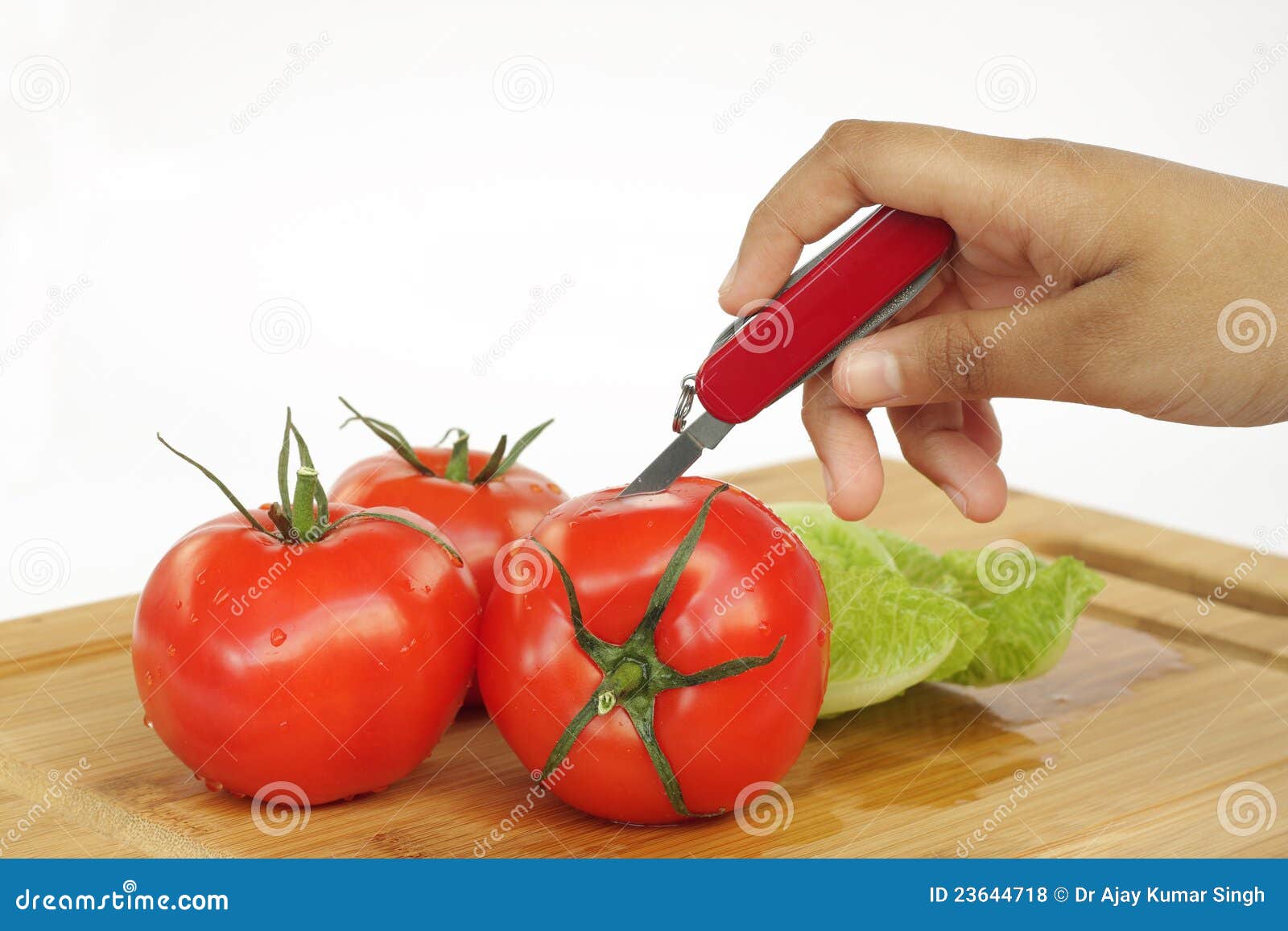 Chopping of tomato stock photo. Image of green, vegetarian - 23644718