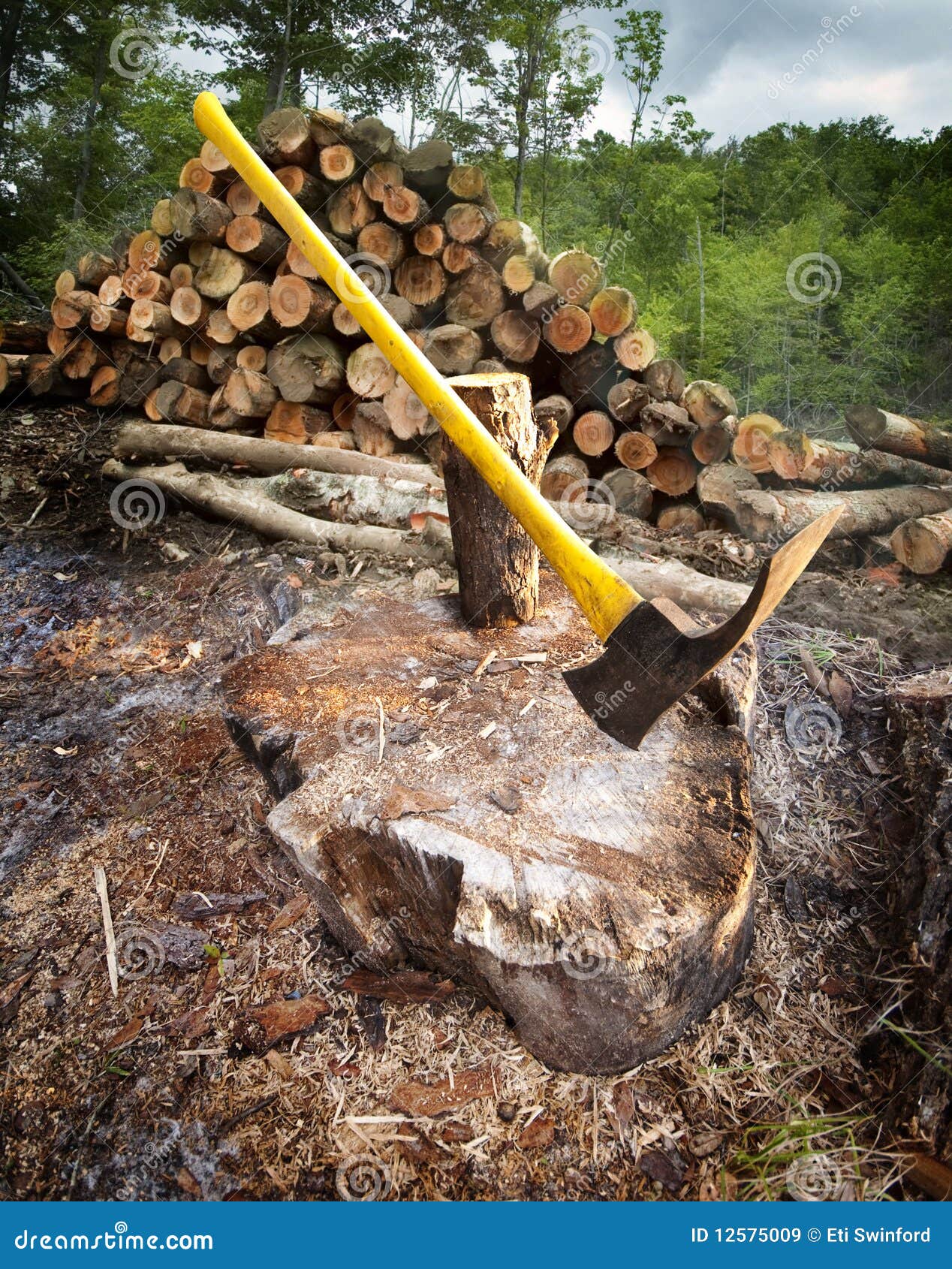 Chopping Wood