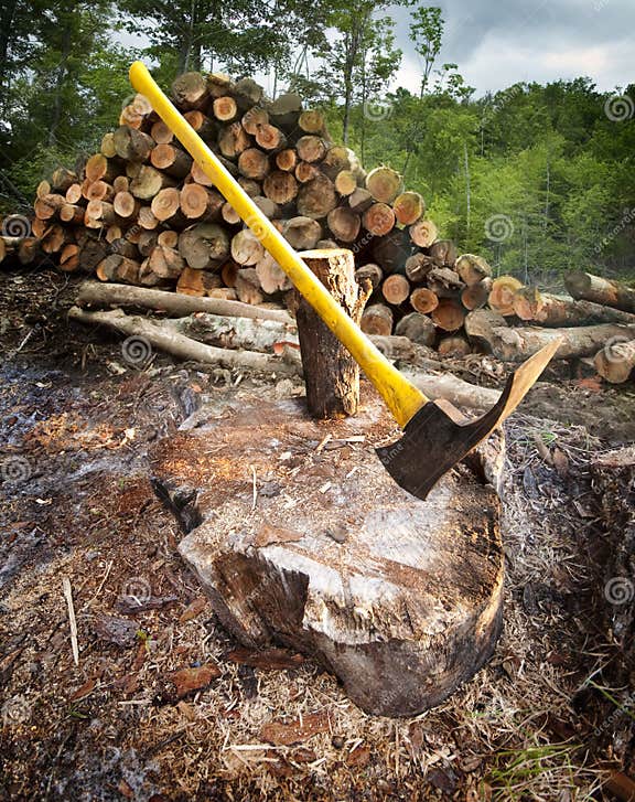Chopping wood stock image. Image of handle, tender, forestry - 12575009