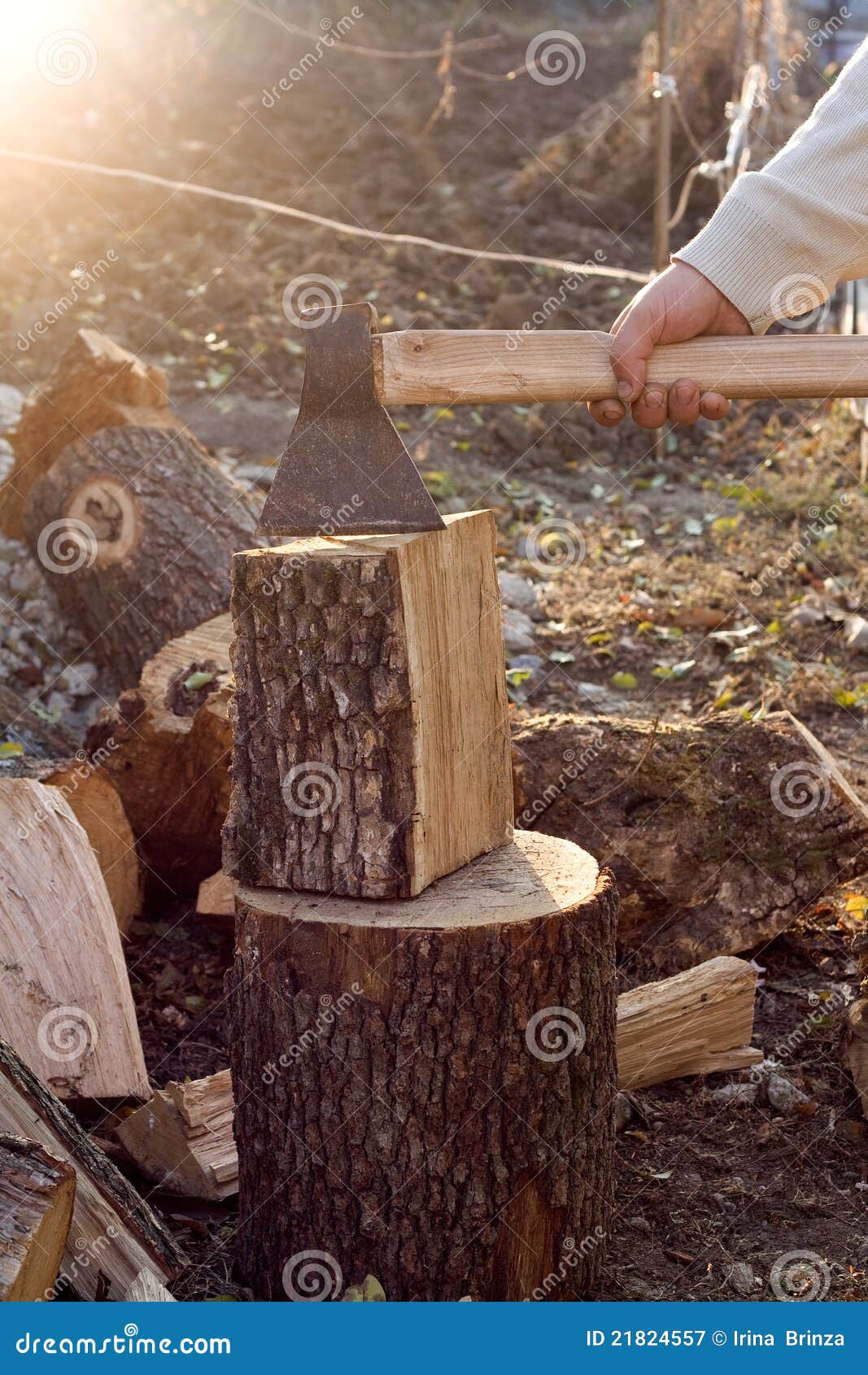 Chopping wood stock image. Image of service, power, plant - 21824557