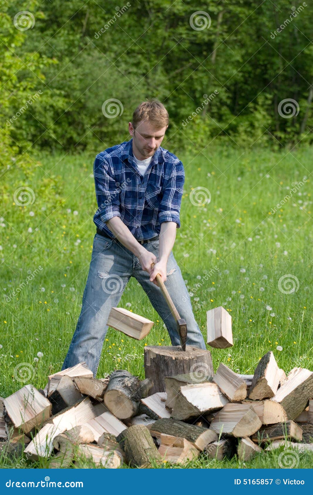 Chopping Wood With An Ax In Woodpile - Putting Log On The Stump Royalty ...