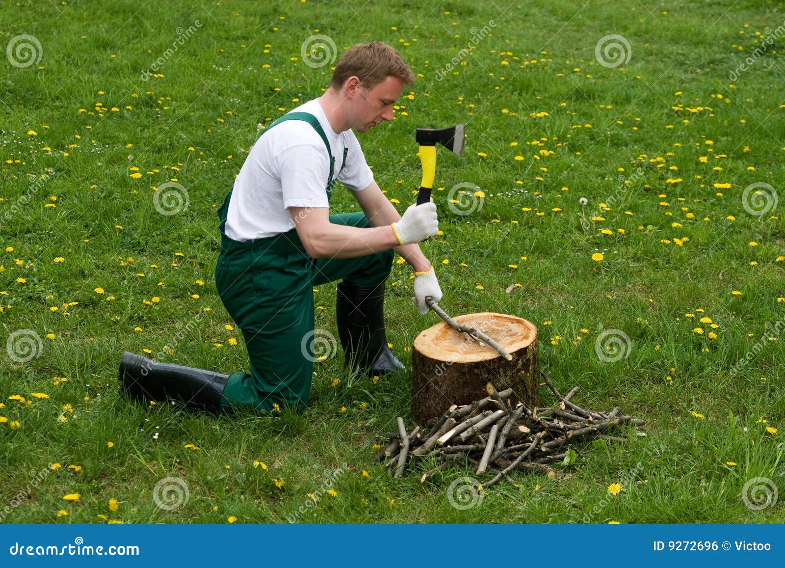 Chopping Wood