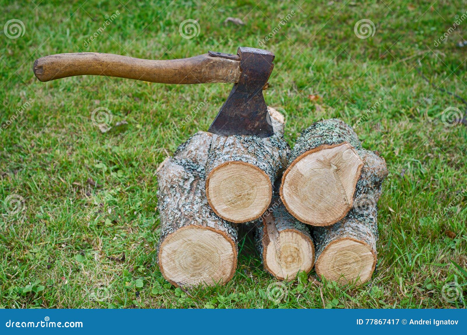 Chopping wood. Autumn stock image. Image of chop, handle - 77867417