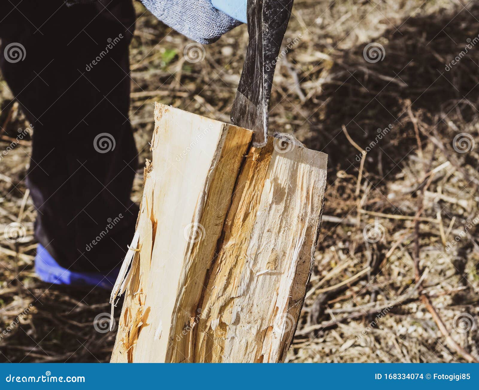 Chopping wood with an ax stock photo. Image of fire - 168334074