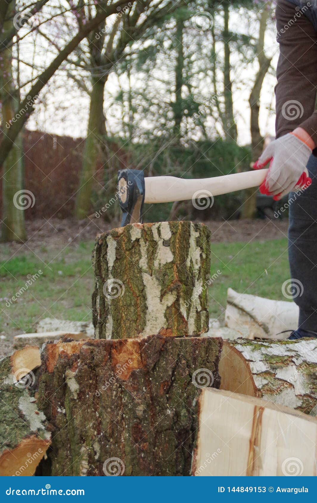 Chopping wood with axe stock image. Image of preparation - 144849153