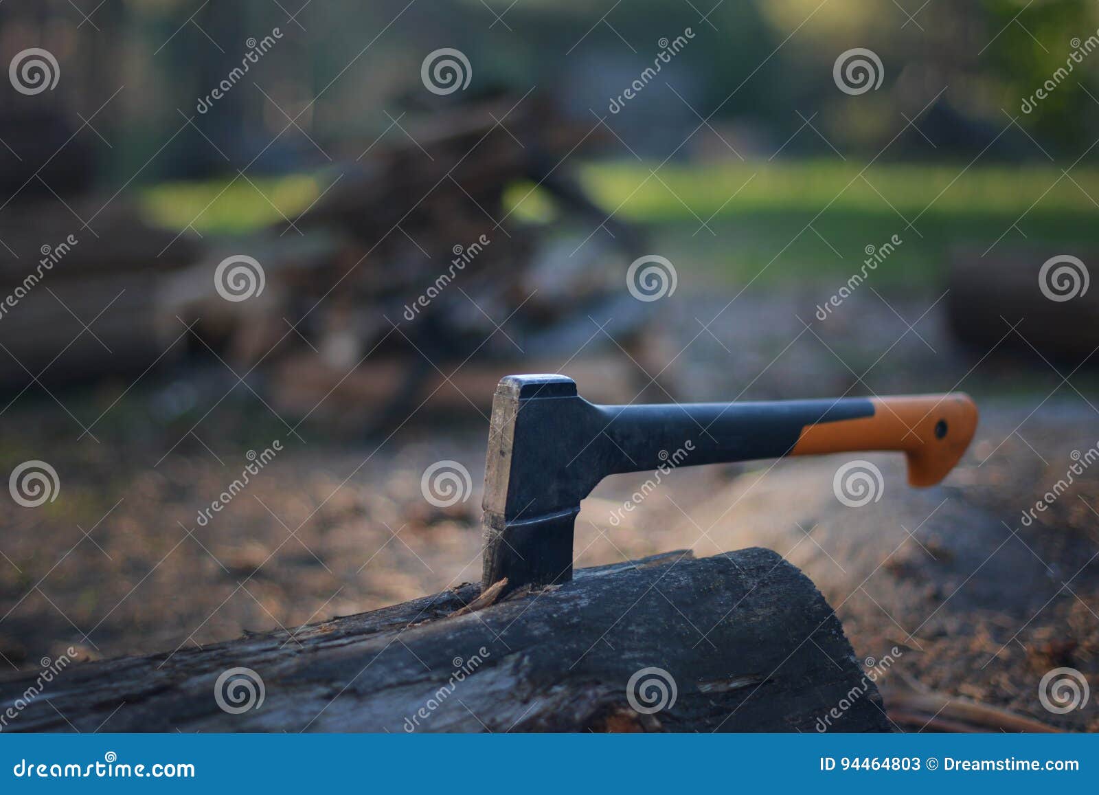 Chopping Wood in the Forest Stock Image - Image of hatchet, active ...
