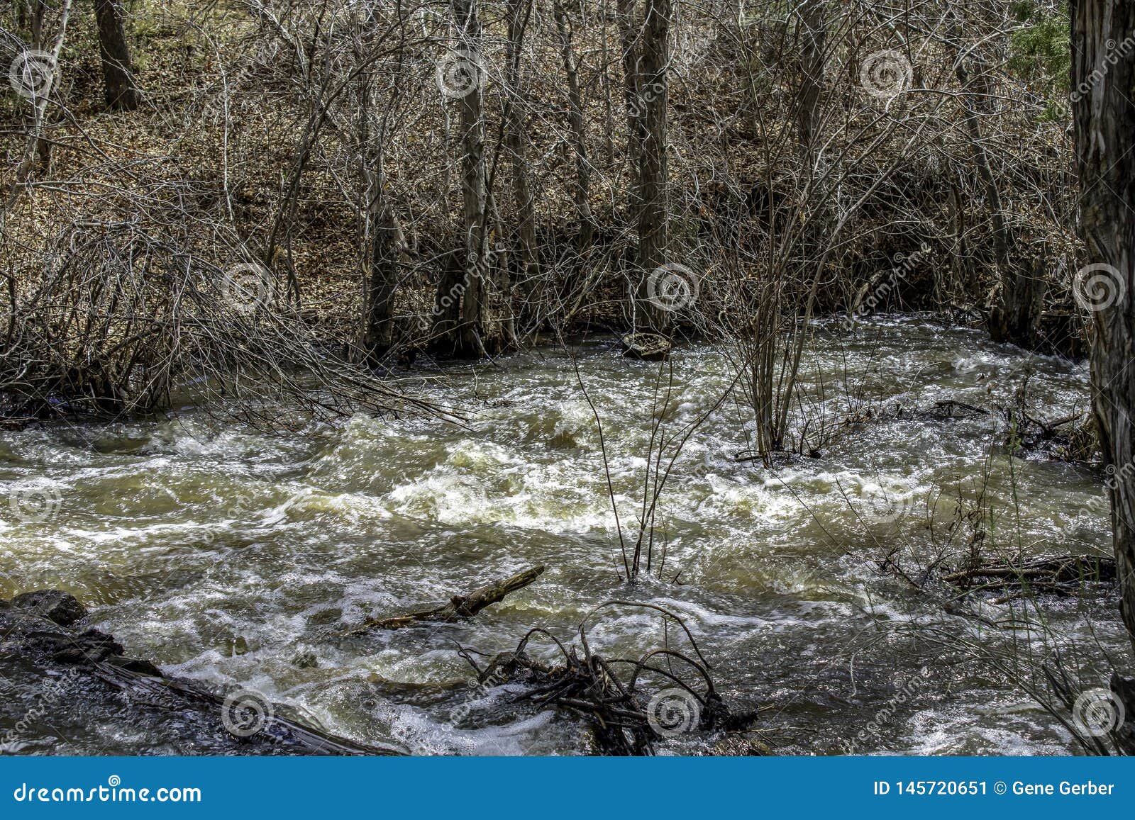 Choppy Water stock image. Image of wilderness, waterscape - 145720651