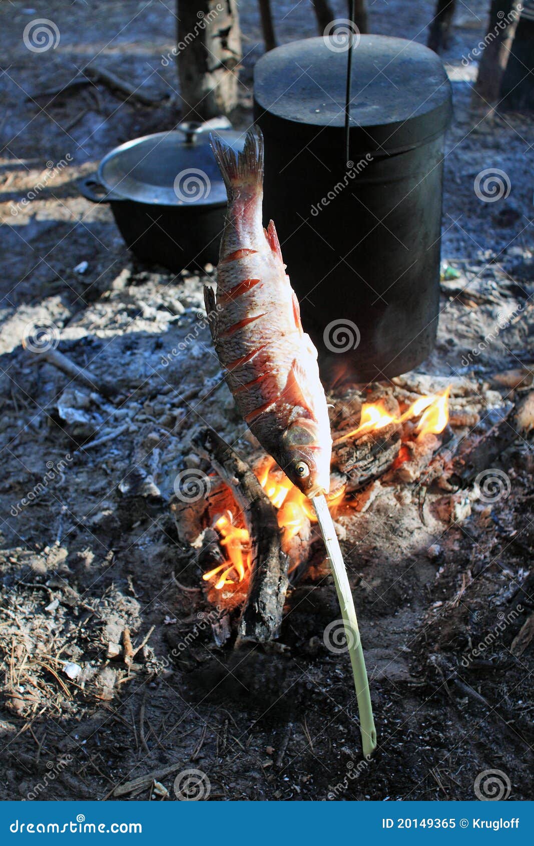 Chops, Bake Fish on an Open Fire Stock Image - Image of open, chops ...