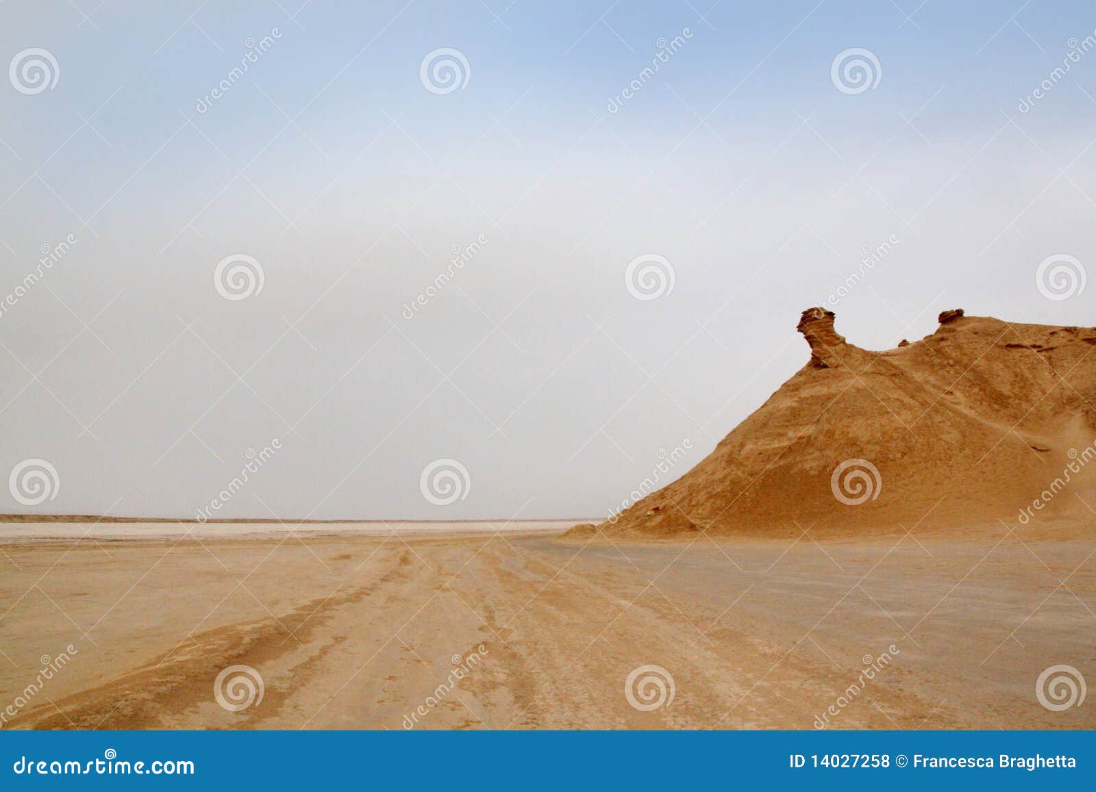 Chott El-Gharsa Picture. Image: 14027258