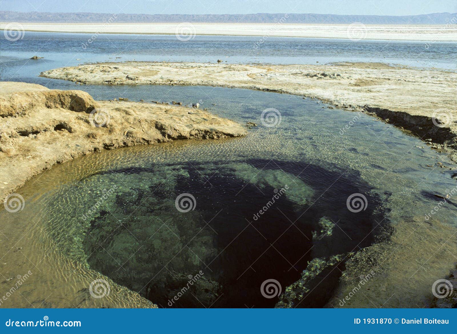 Chott spring stock photo. Image of salt, ground, sand - 1931870