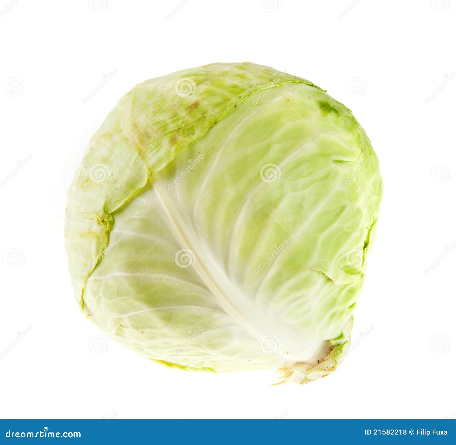 Chou photo stock. Image du mangez, nourriture, ferme - 21582218