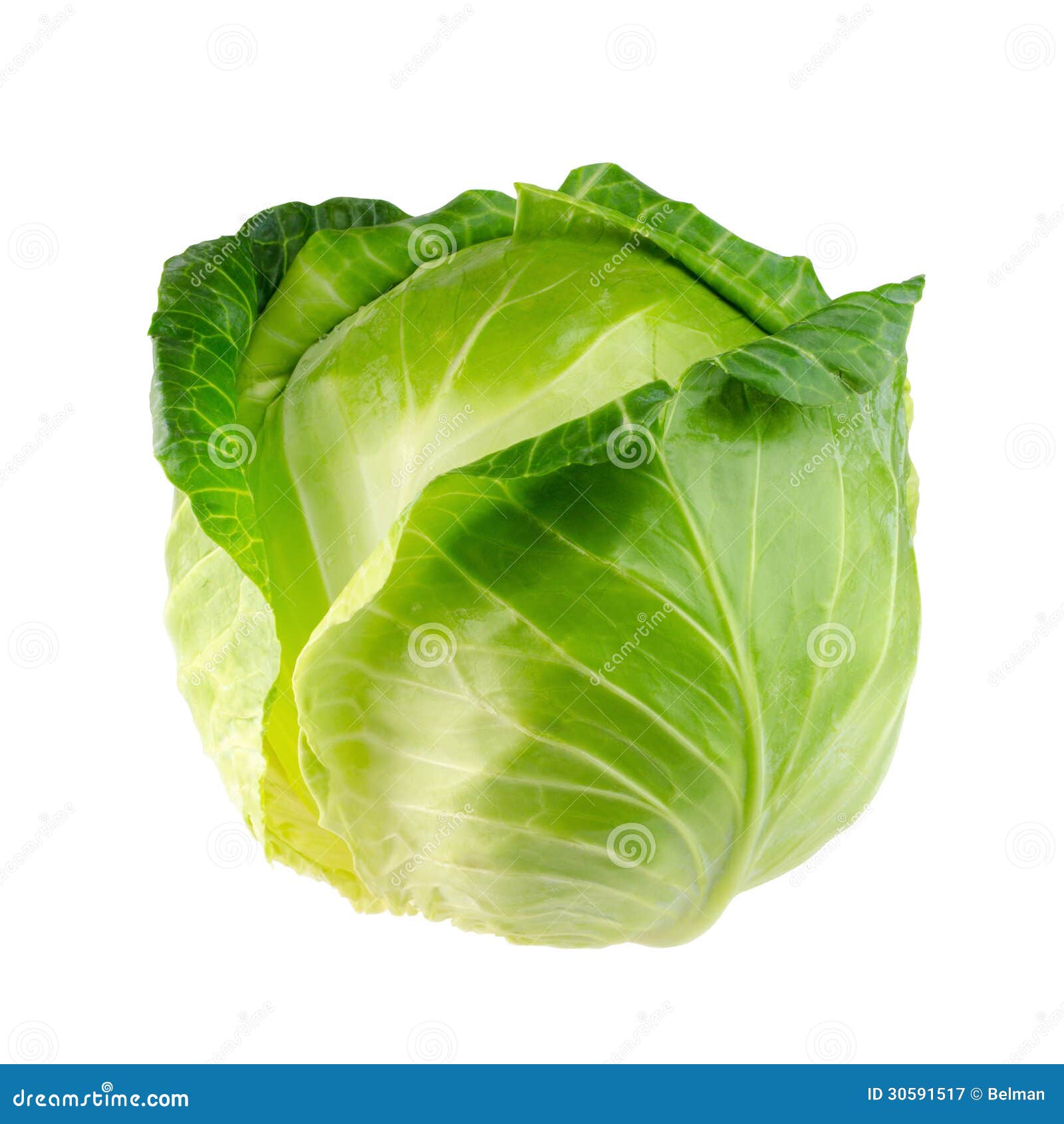 Chou image stock. Image du rosée, fruits, chou, baisse - 30591517