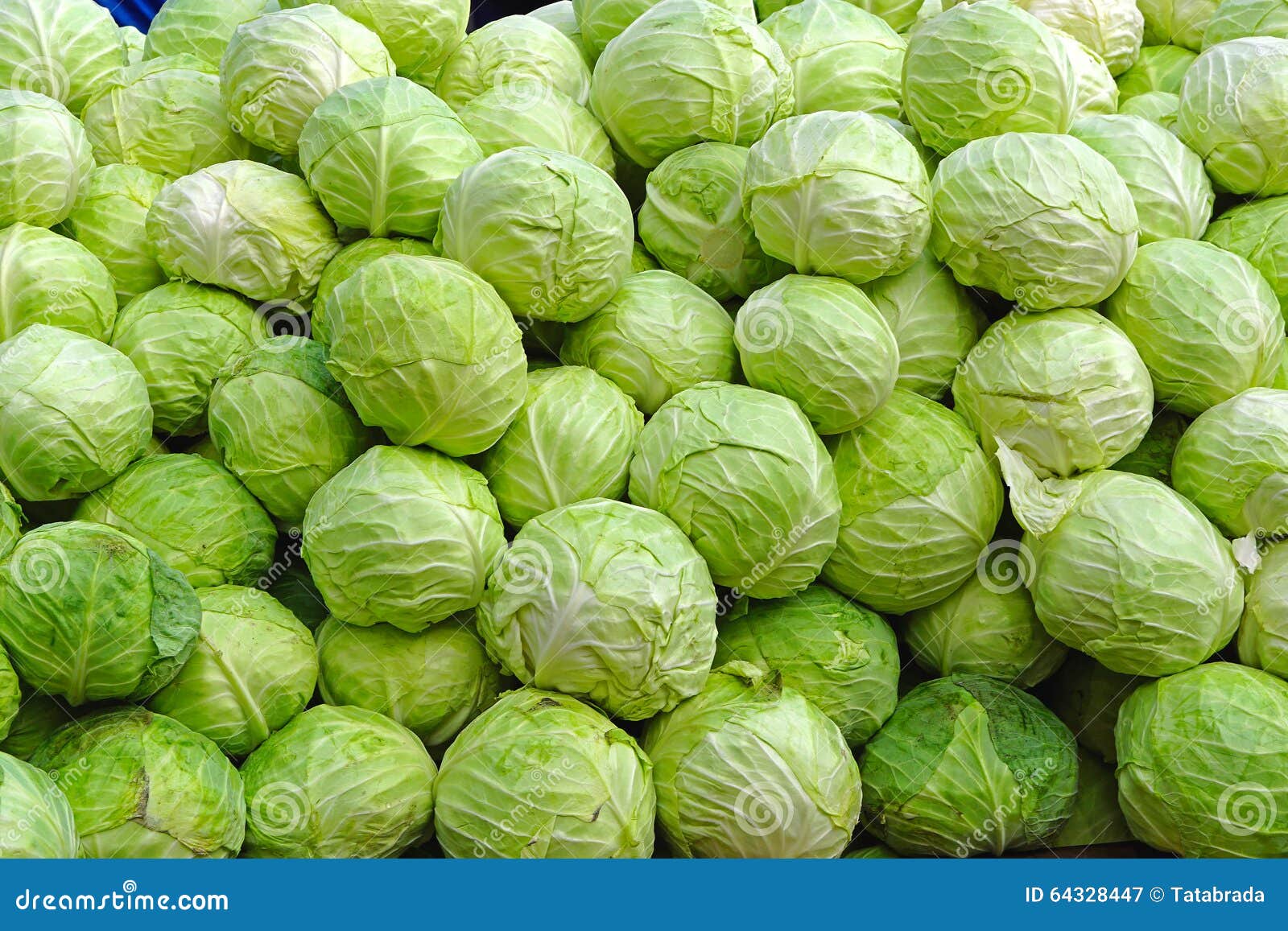 Chou image stock. Image du nourriture, fermiers, marché - 64328447