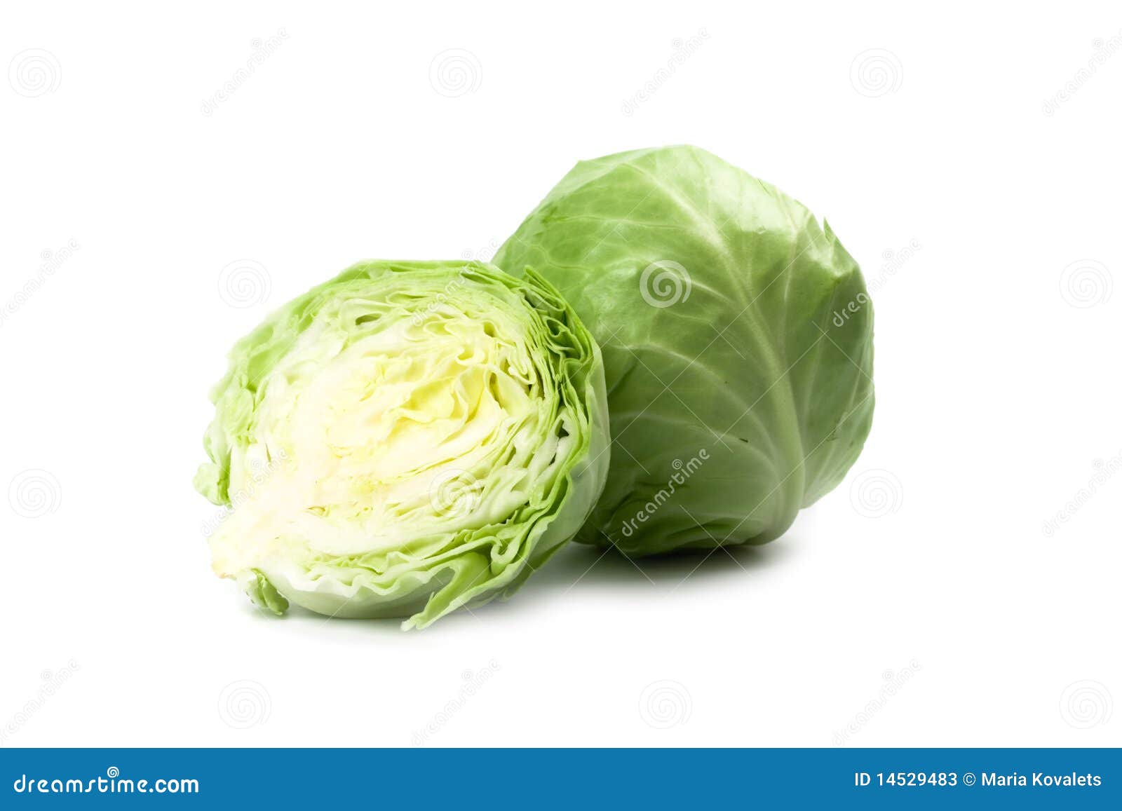 Chou commun image stock. Image du santé, panneau, lame - 14529483