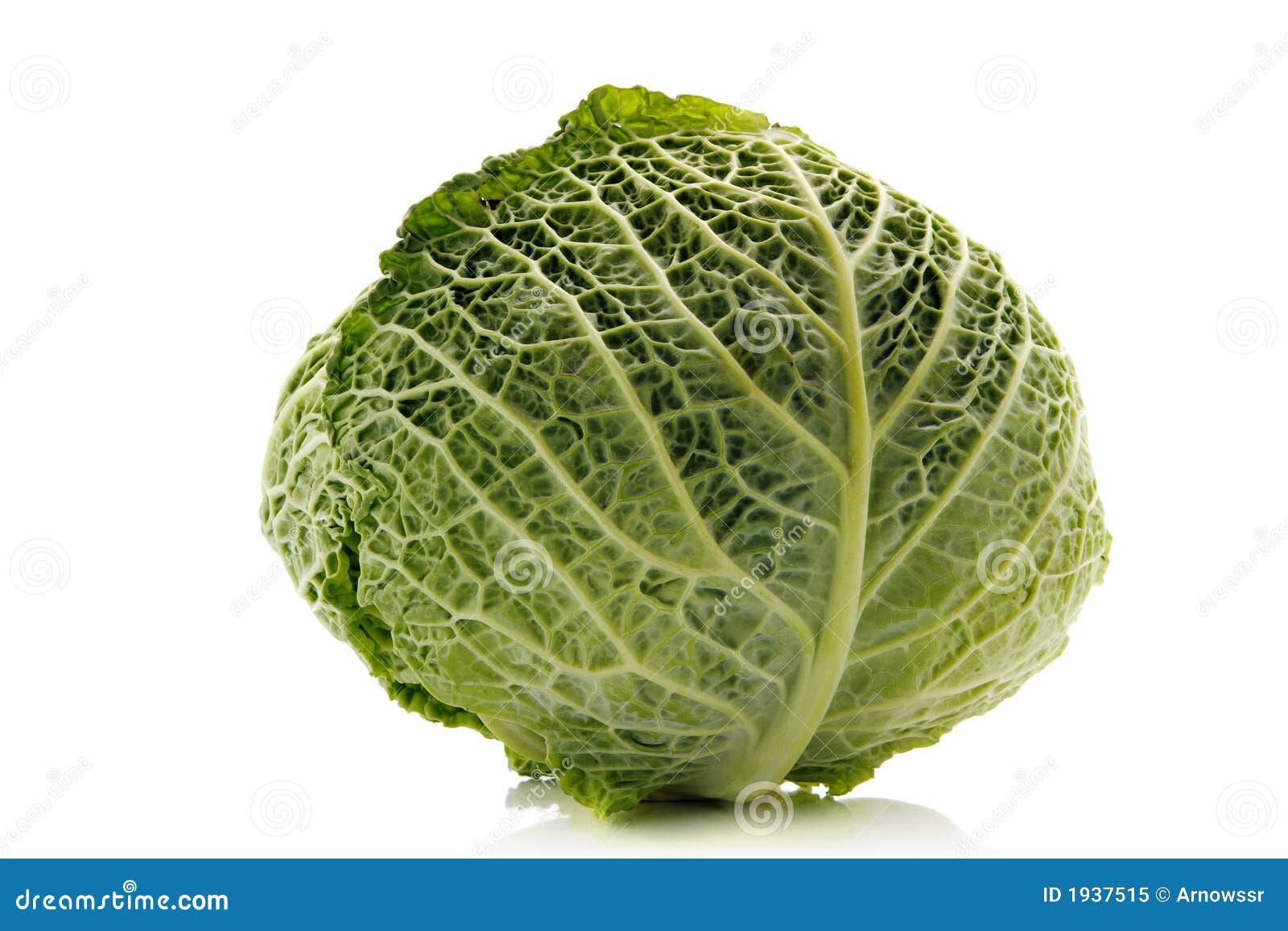 Chou commun image stock. Image du légume, section, lames - 1937515