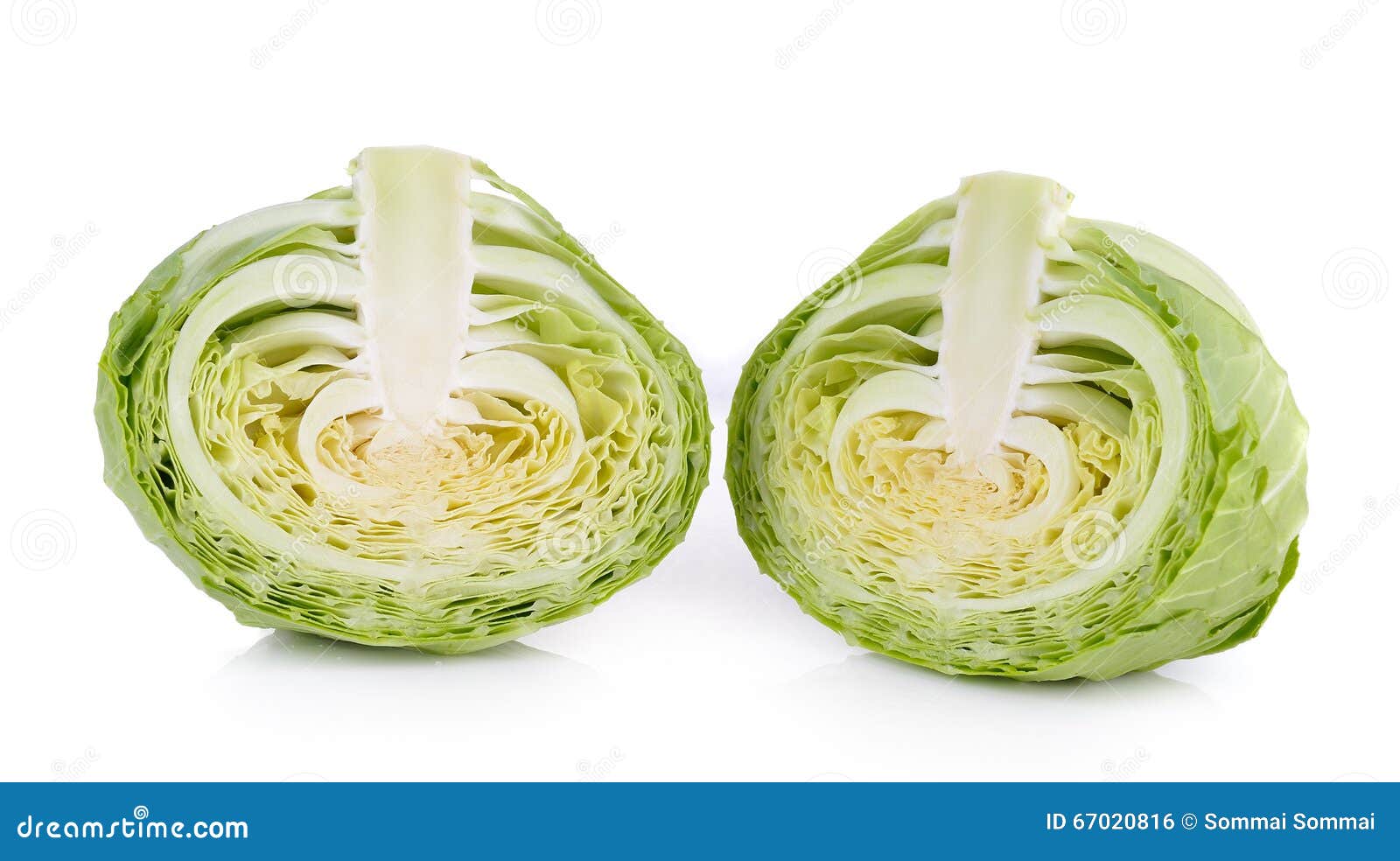 Chou Commun D'isolement Sur Le Fond Blanc Photo stock - Image du salade ...