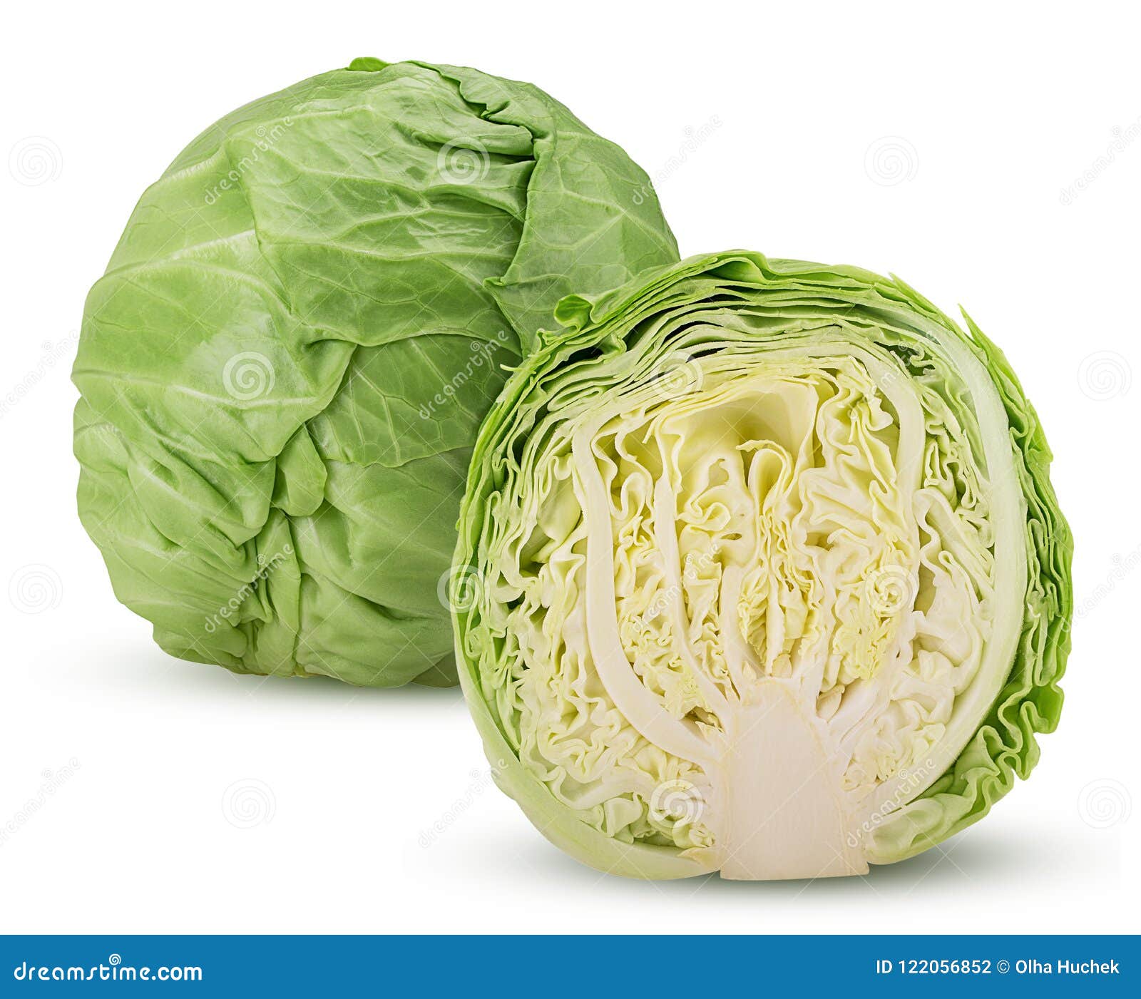 Chou Commun Un Coupé Dans La Moitié Photo stock - Image du normal ...