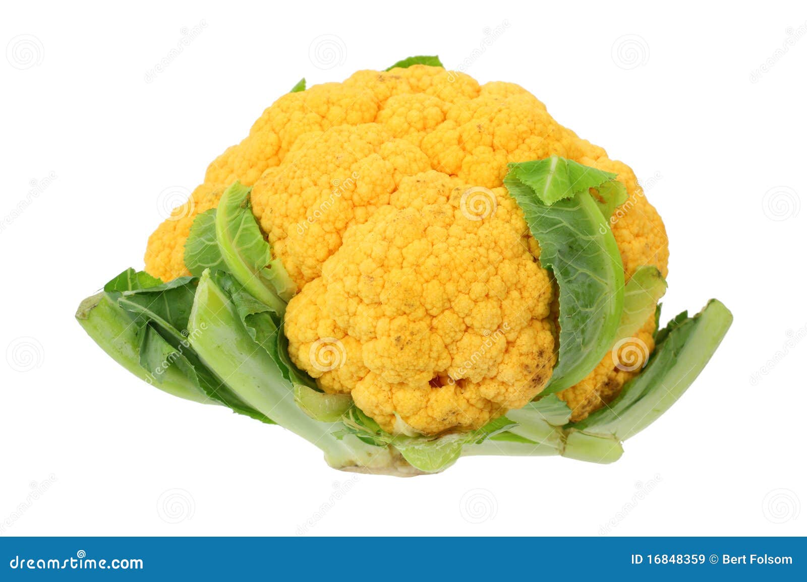 Chou-fleur orange image stock. Image du vert, fleurons - 16848359