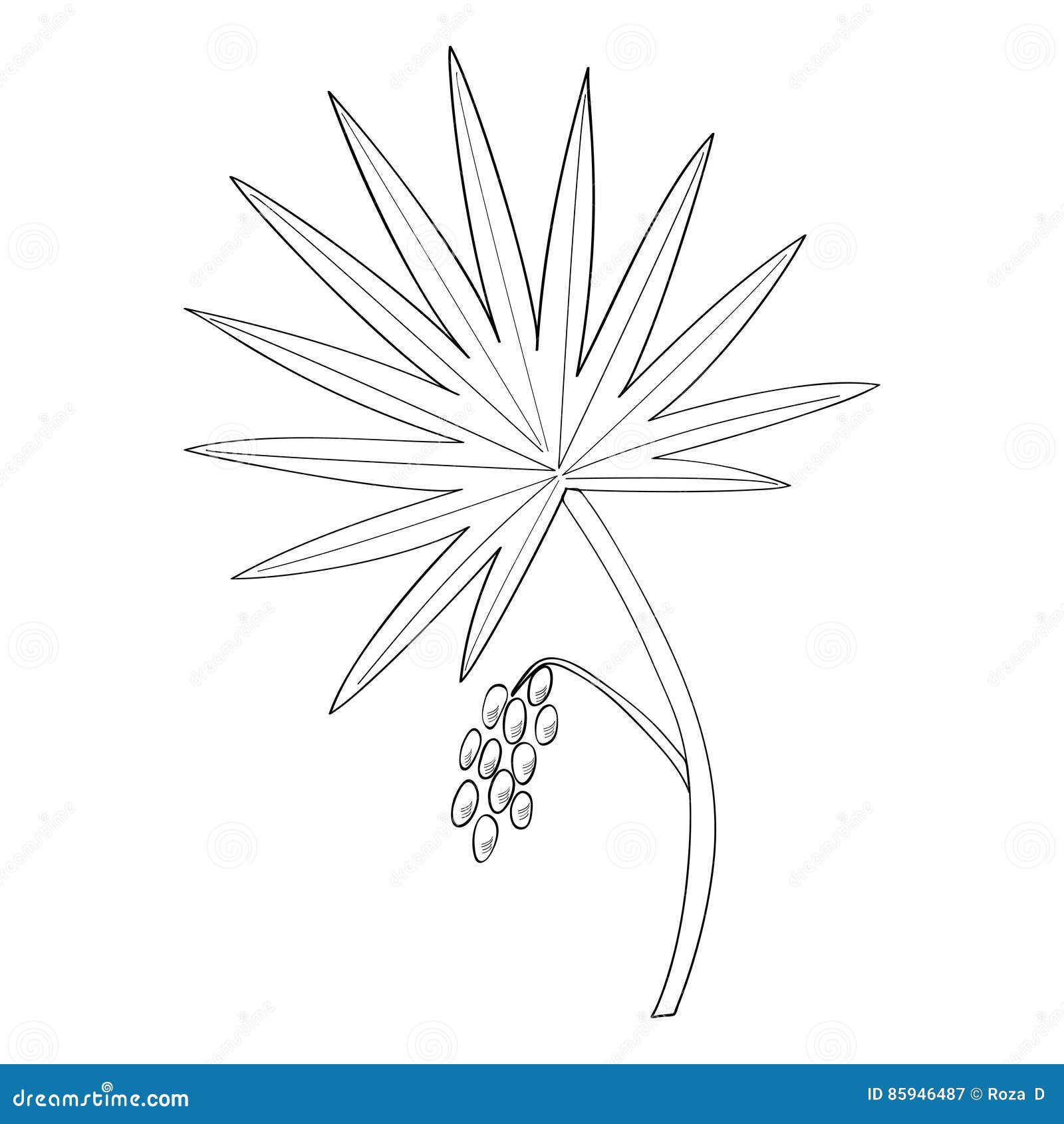 Chou palmiste 2 illustration de vecteur. Illustration du seamless ...