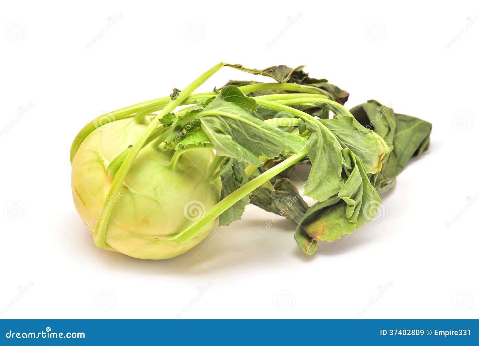 Chou-rave image stock. Image du légume, lames, isolement - 37402809