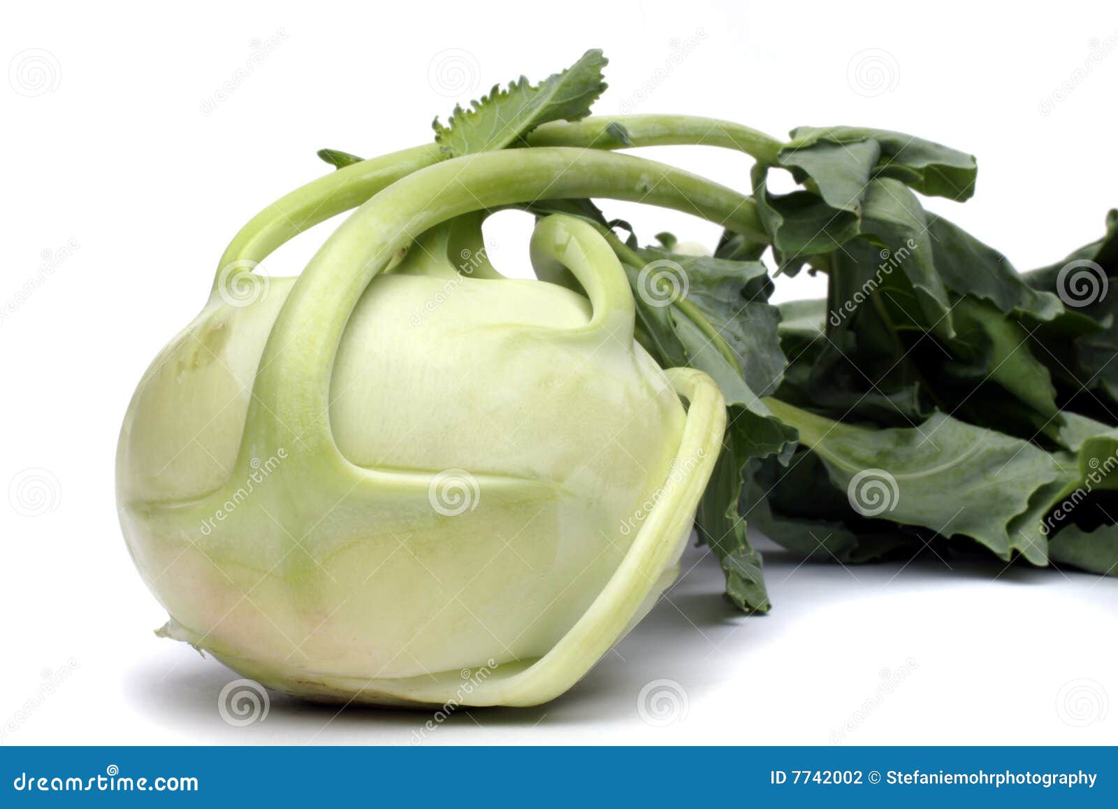 Chou-rave photo stock. Image du légume, jardinage, comestible - 7742002