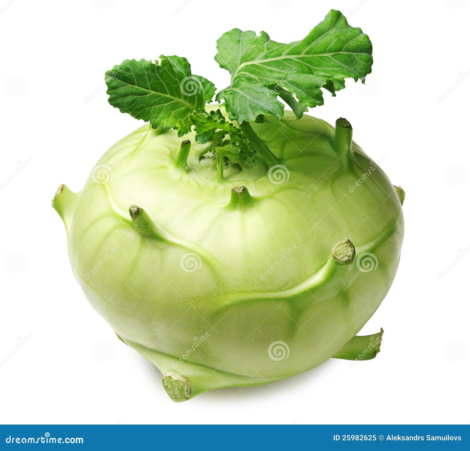 Chou-rave de chou image stock. Image du feuillu, agriculture - 25982625