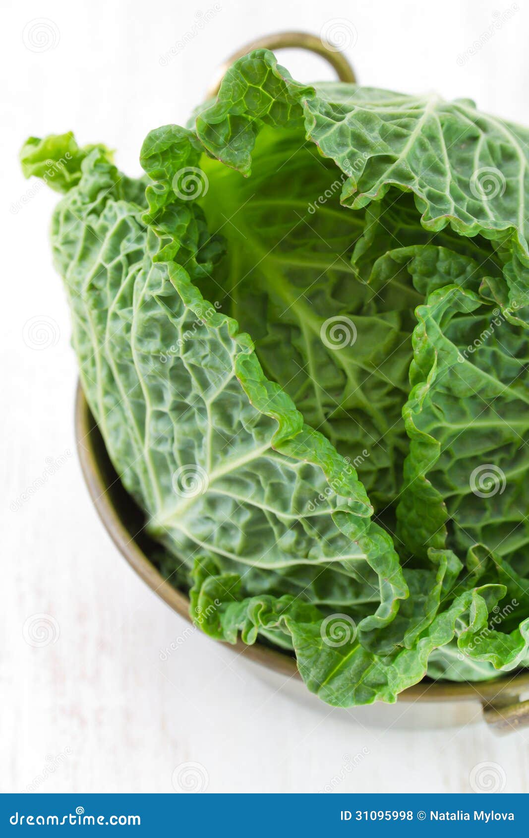 Chou sur la table blanche photo stock. Image du vieux - 31095998