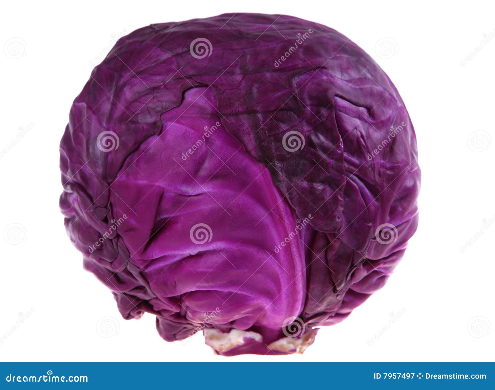 Chou violet image stock. Image du white, ingredient, freshness - 7957497