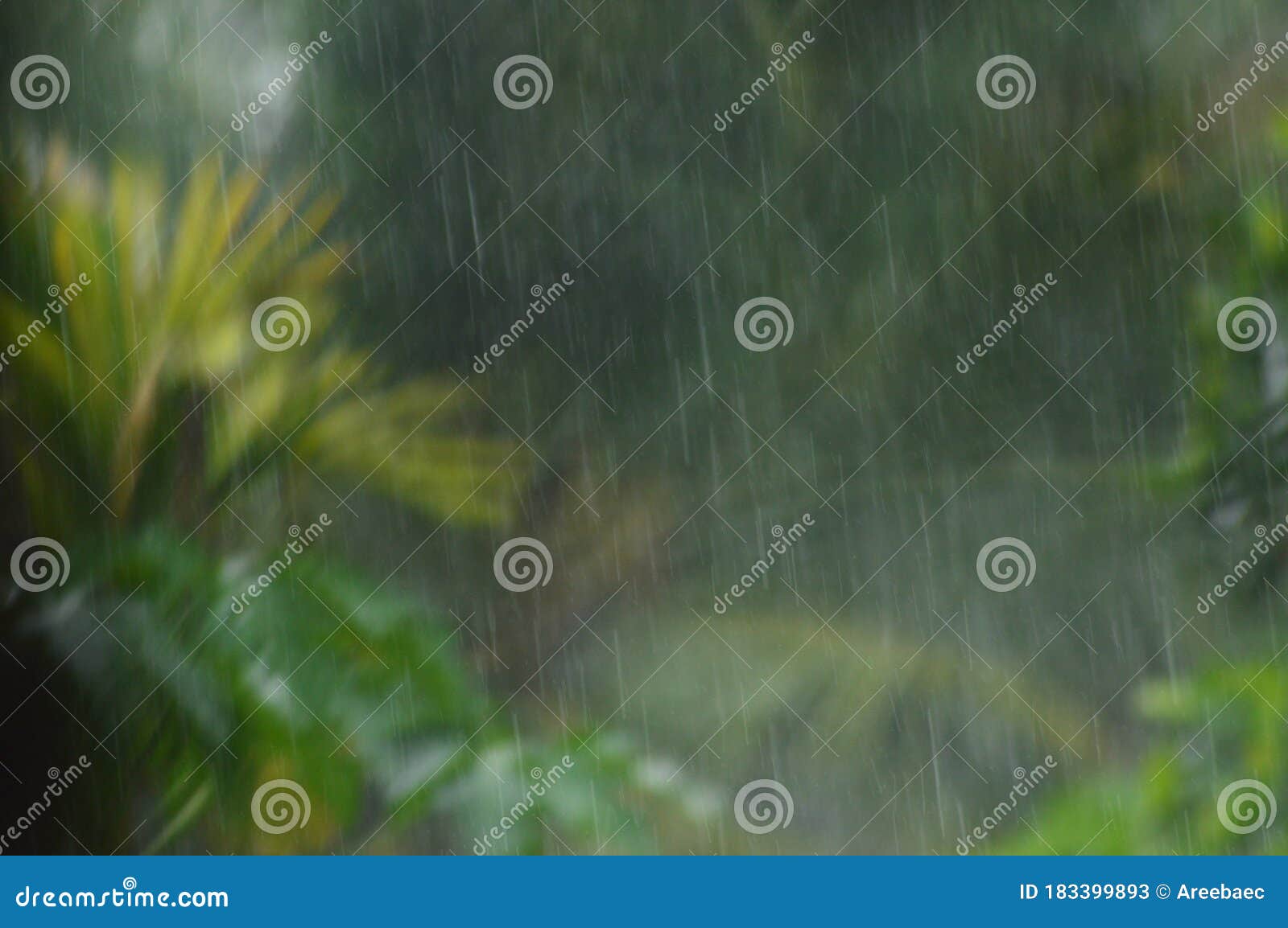 Chovendo na natureza imagem de stock. Imagem de prado - 183399893