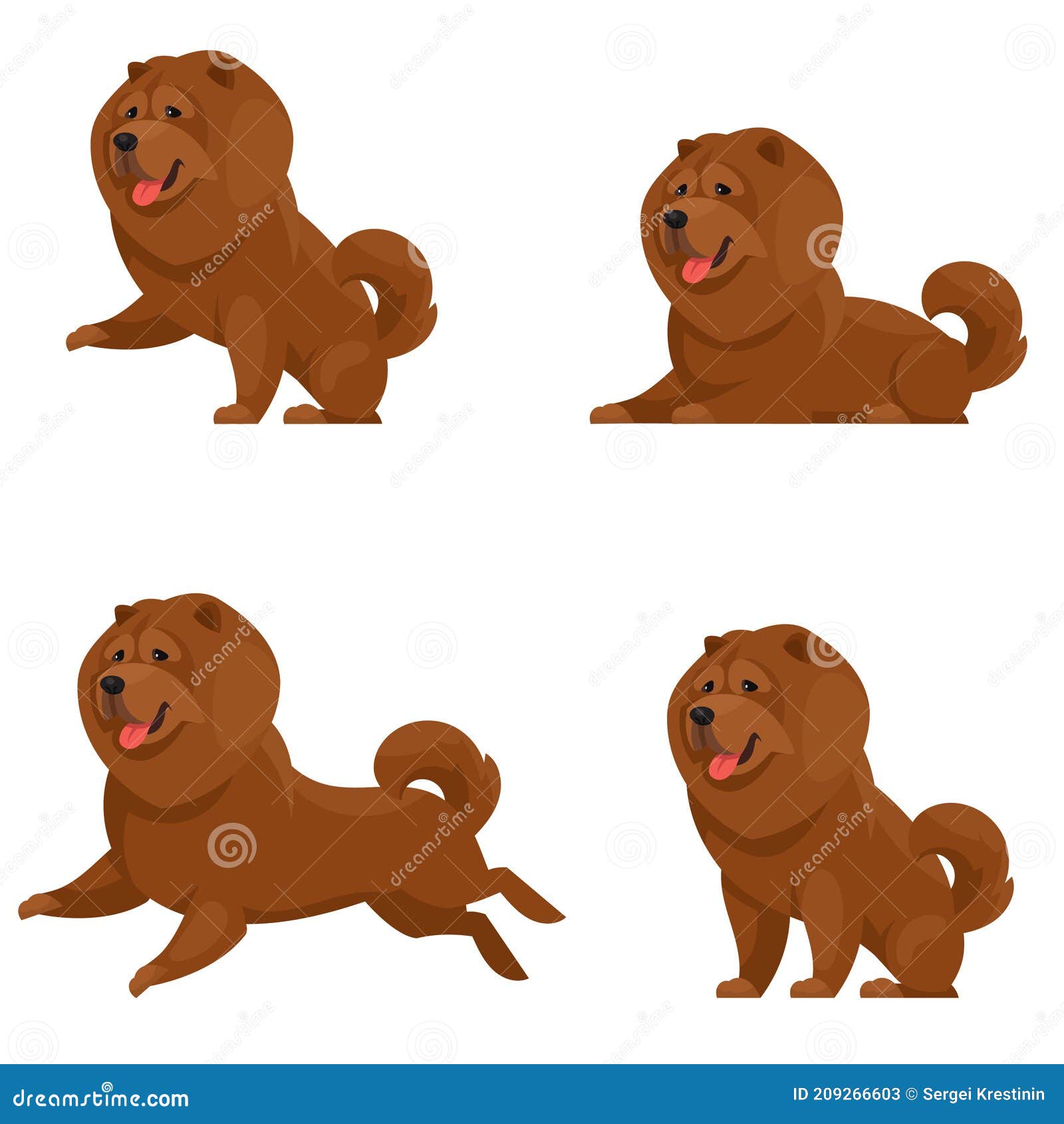Chow Chow in Different Poses. Stock Vector - Illustration of lying ...