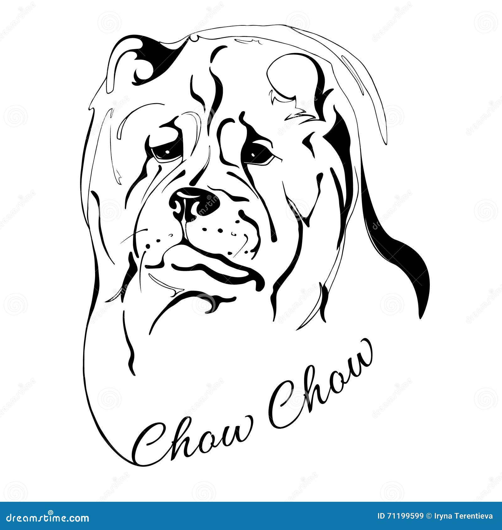 Chow Chow Head Black And White Cartoon Vector | CartoonDealer.com ...